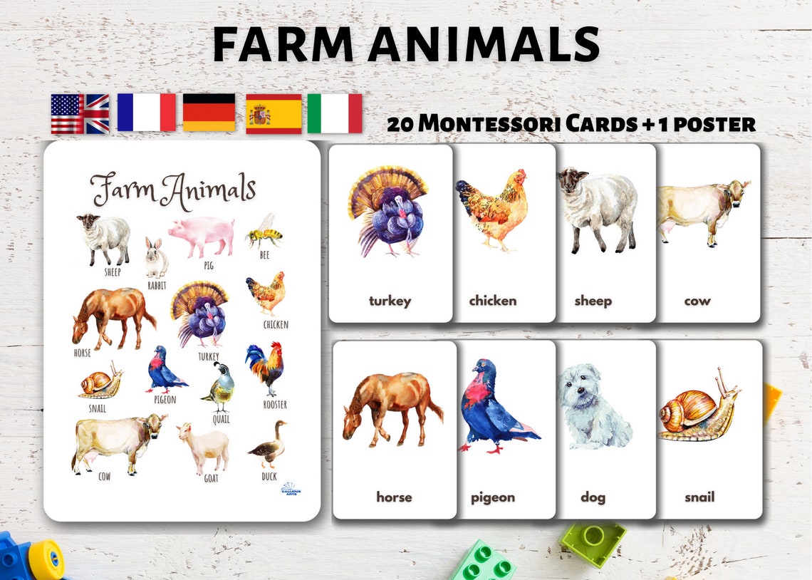 FARM ANIMALS FLASHCARDS Watercolor Images Printable - Etsy Canada