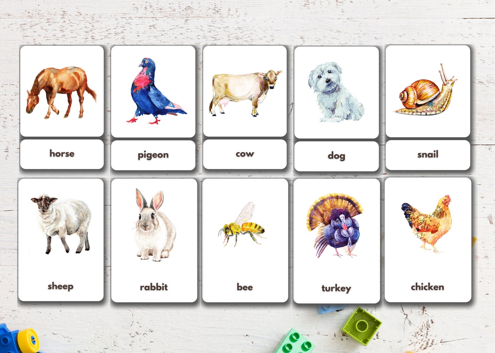 FARM ANIMALS FLASHCARDS Watercolor Images Printable - Etsy Canada