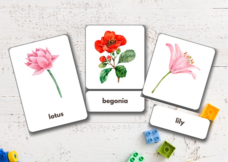 Flowers Flashcards Watercolor Printable Montessori Cards - Etsy