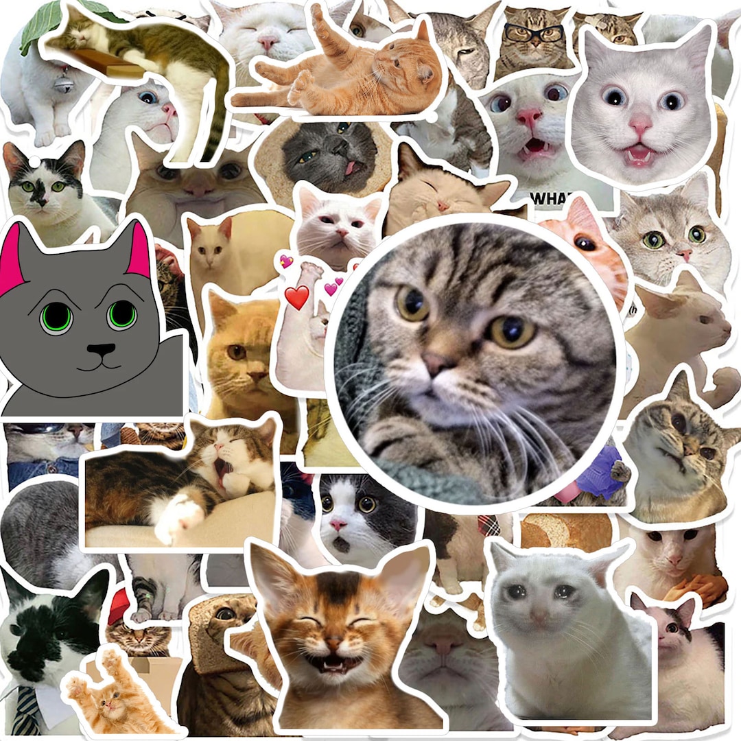50pcs Cat Meme Stickers Funny Animal Cat Stickers Cute Cats Decals for ...