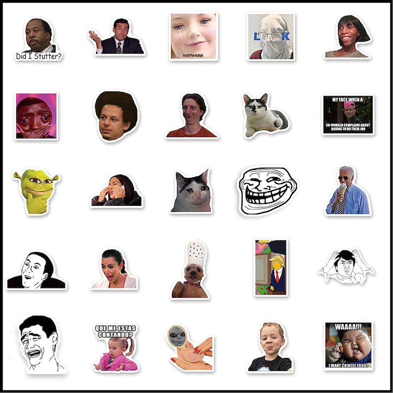 20/50/100 Pcs Funny Meme Stickers Random Stickers for Laptops ...