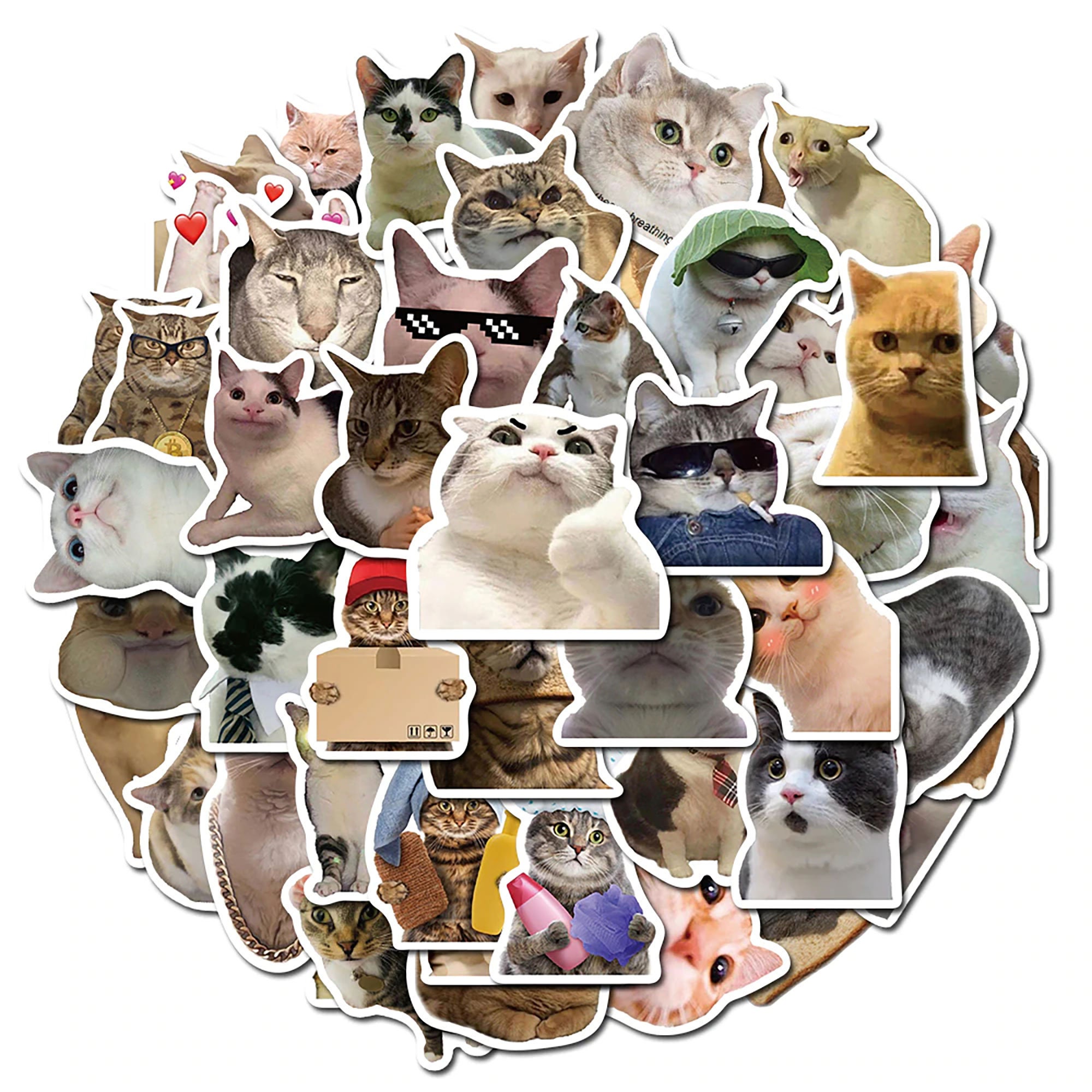 50pcs Cat Meme Stickers Funny Animal Cat Stickers Cute Cats - Etsy