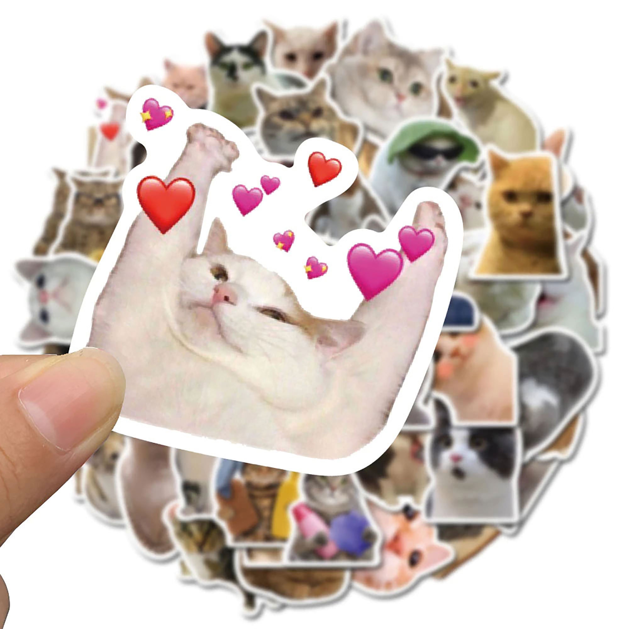 50pcs Cat Meme Stickers Funny Animal Cat Stickers Cute Cats - Etsy