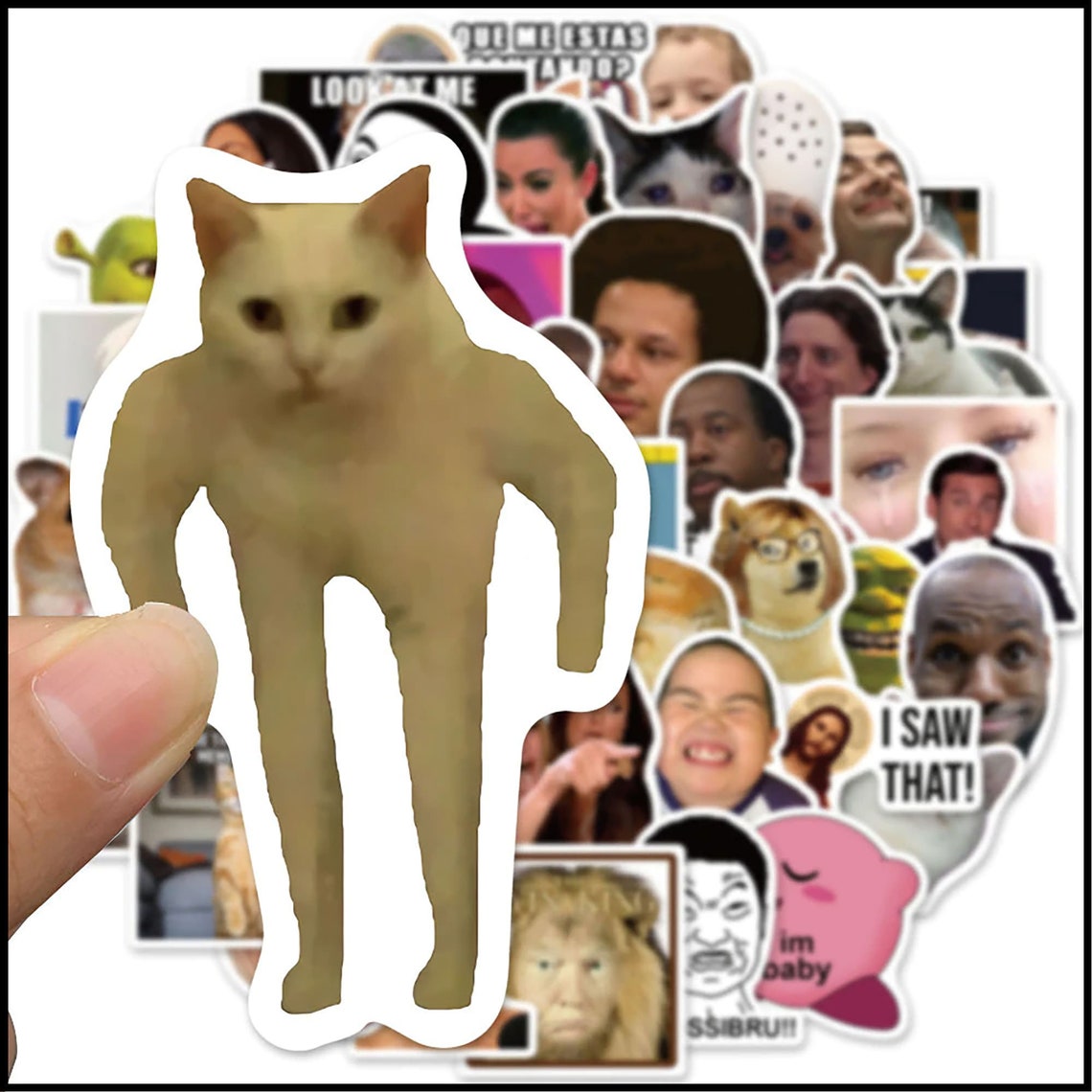20/50/100 Pcs Funny Meme Stickers Random Stickers for Laptops ...