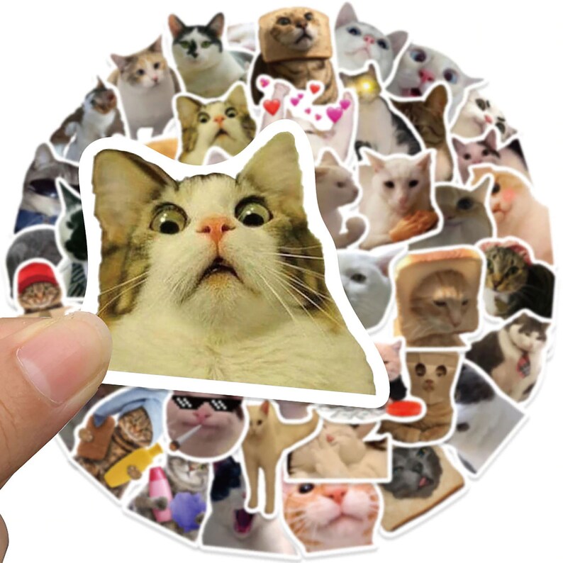 50pcs Cat Meme Stickers Funny Animal Cat Stickers Cute Cats - Etsy