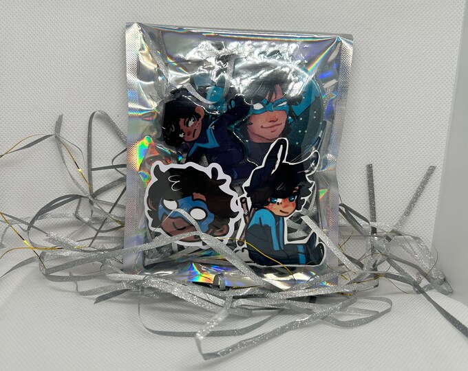 Batfam Nightwing Bag - Etsy