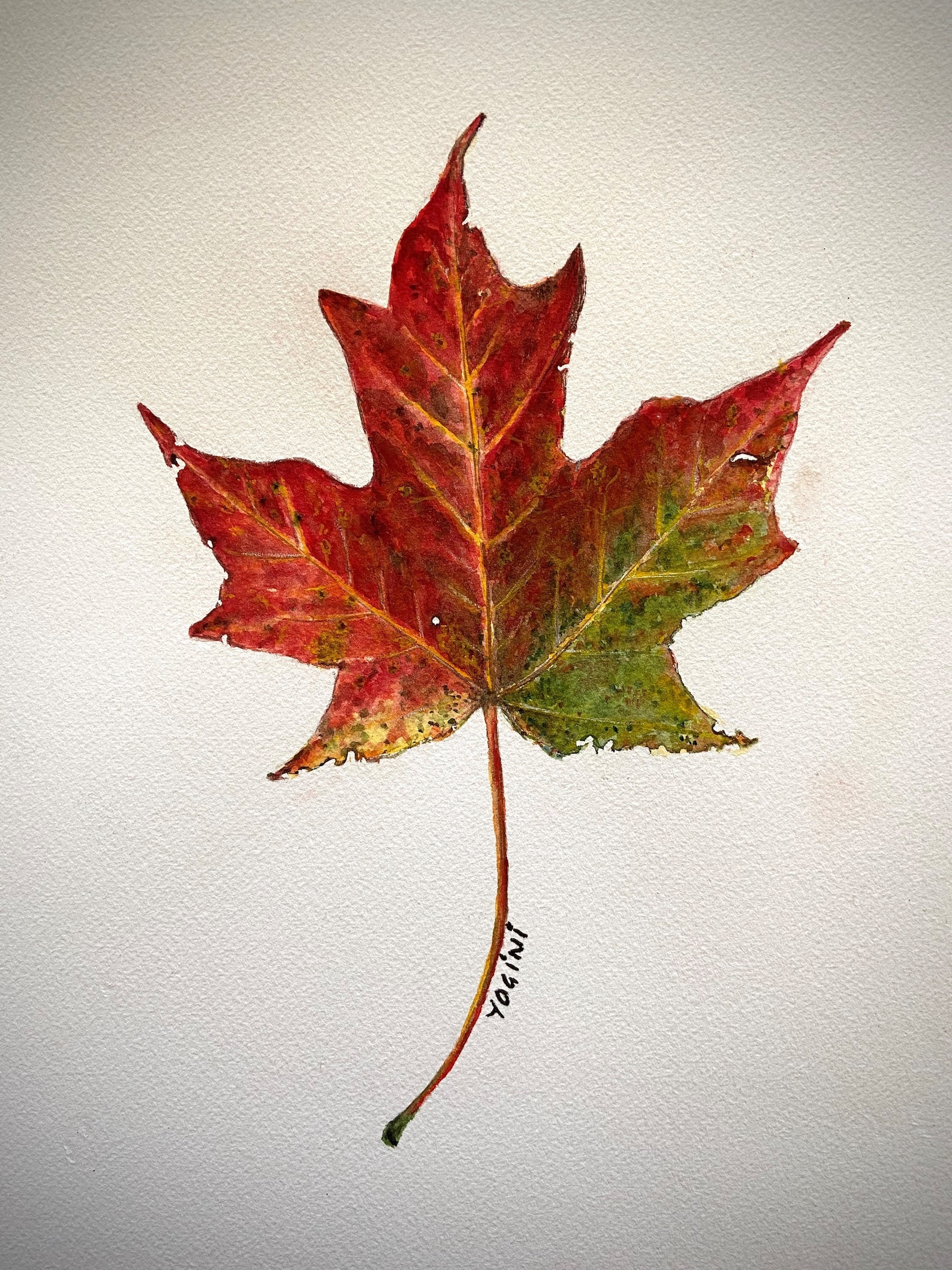 Fall Leaf - Etsy UK