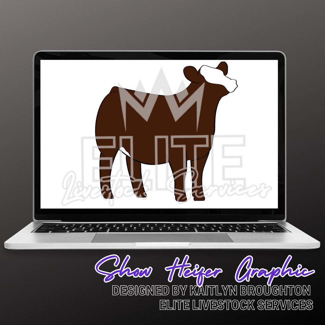 Red Simmental Show Heifer Graphic - Etsy