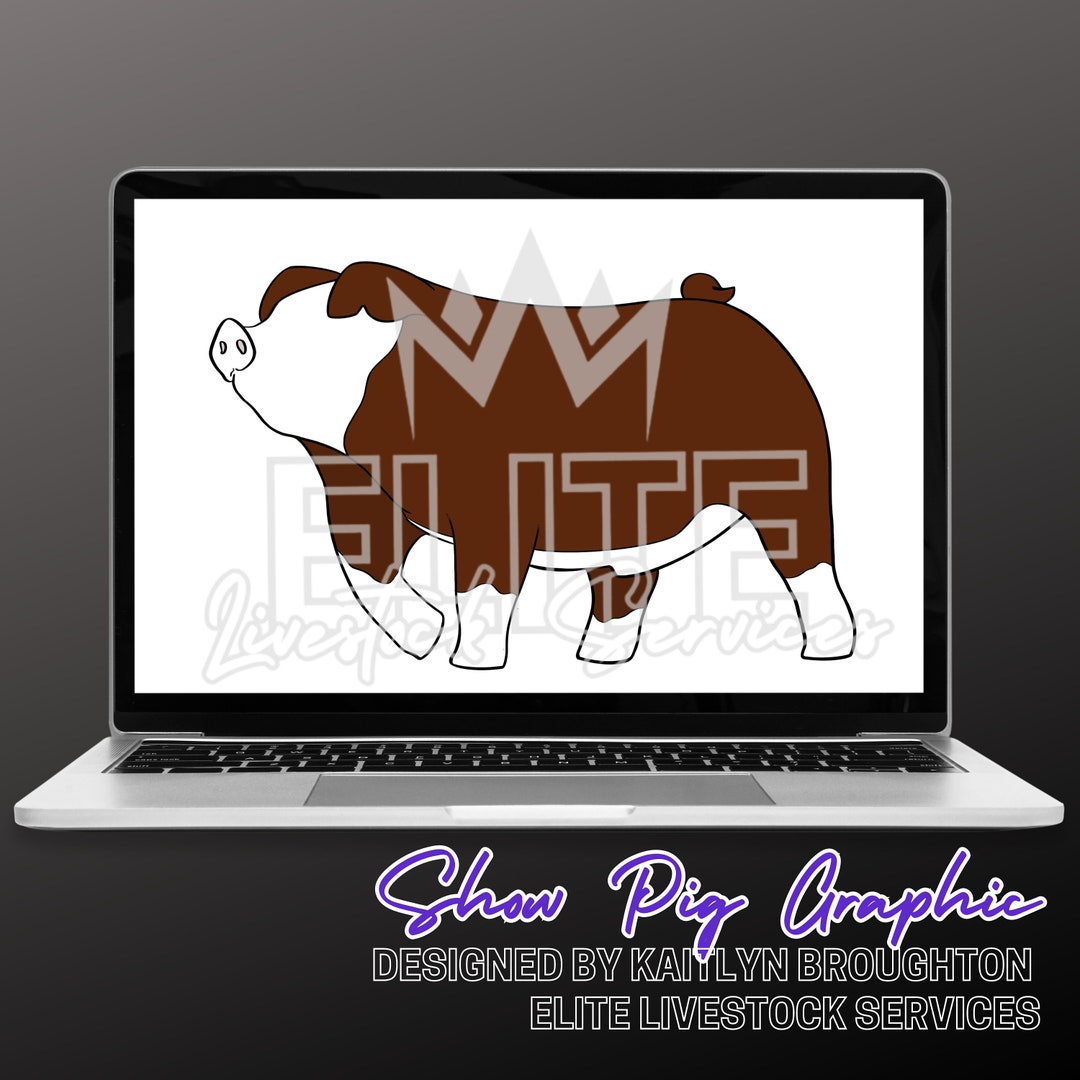 Hereford Barrow Show Pig Graphic - Etsy