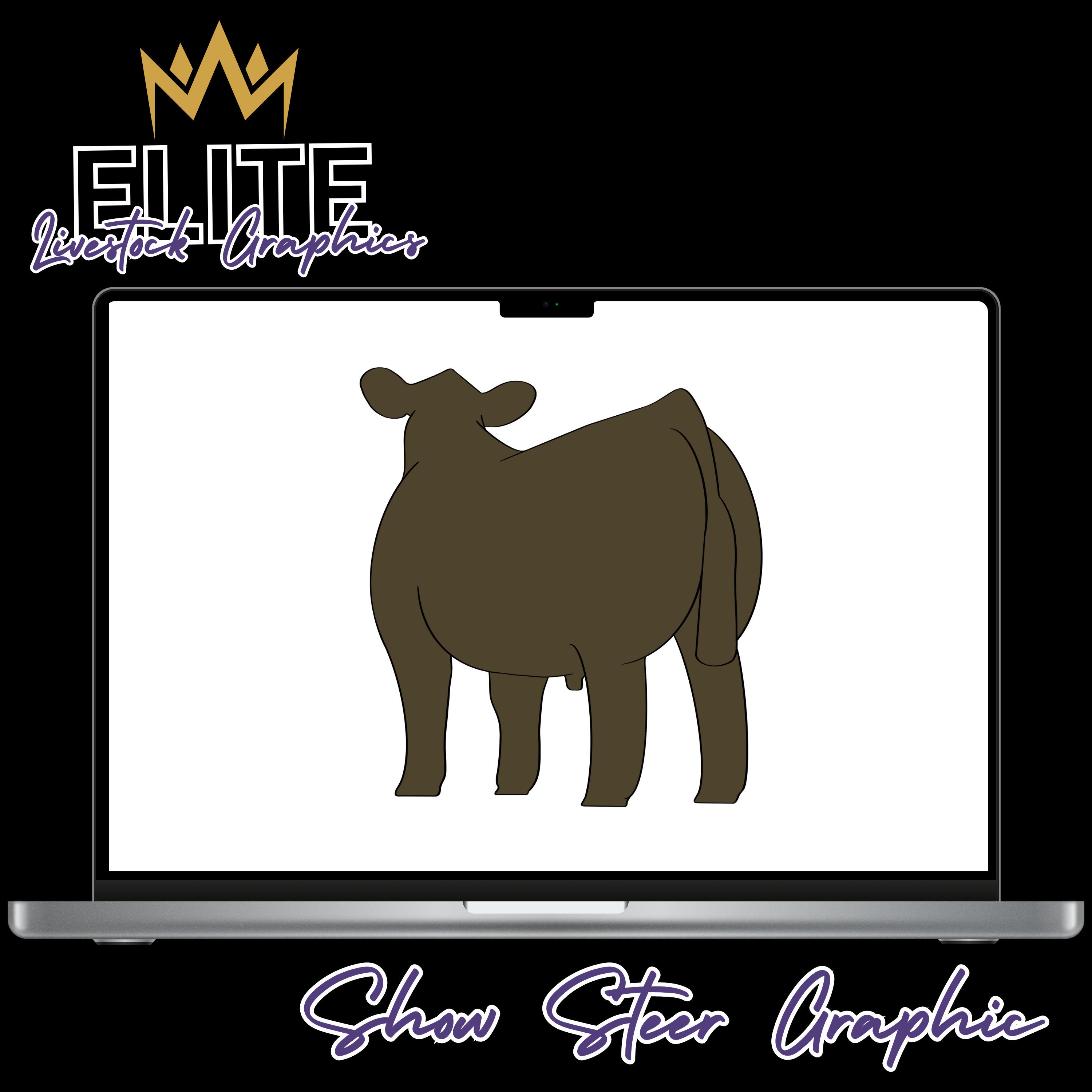 Dark Grey Show Steer Graphic - Etsy