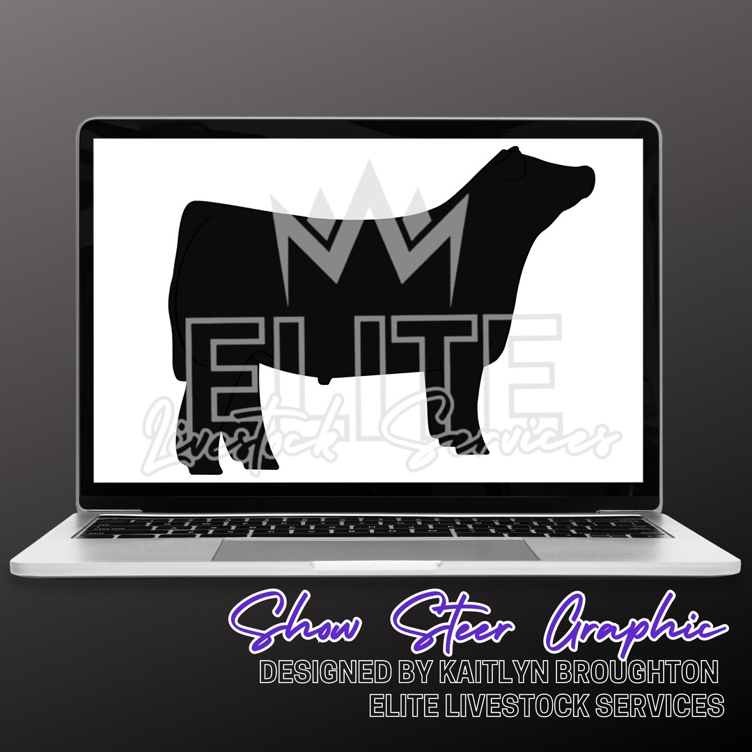 Black Show Steer Graphic - Etsy