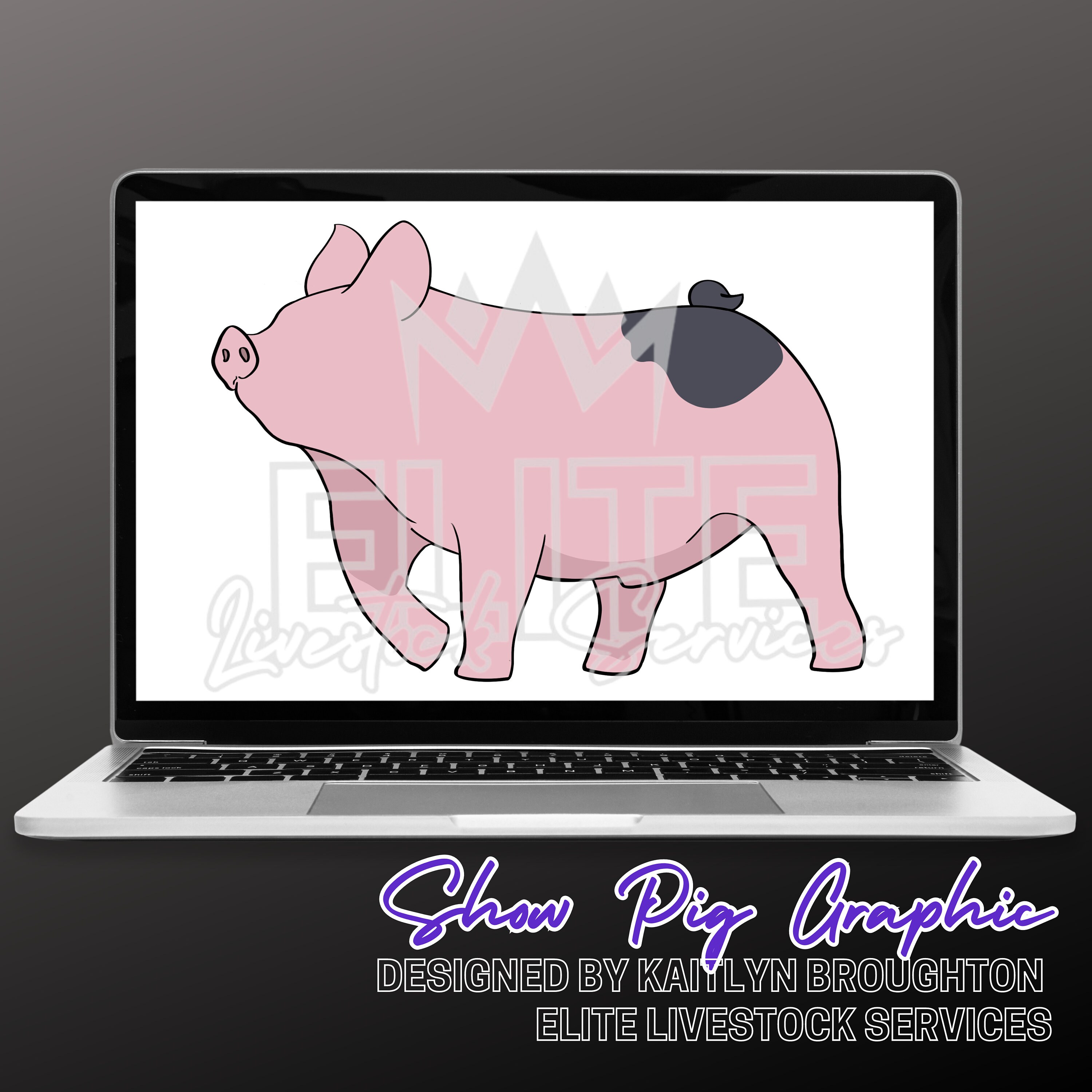 Blue Butt Barrow Show Pig Graphic - Etsy