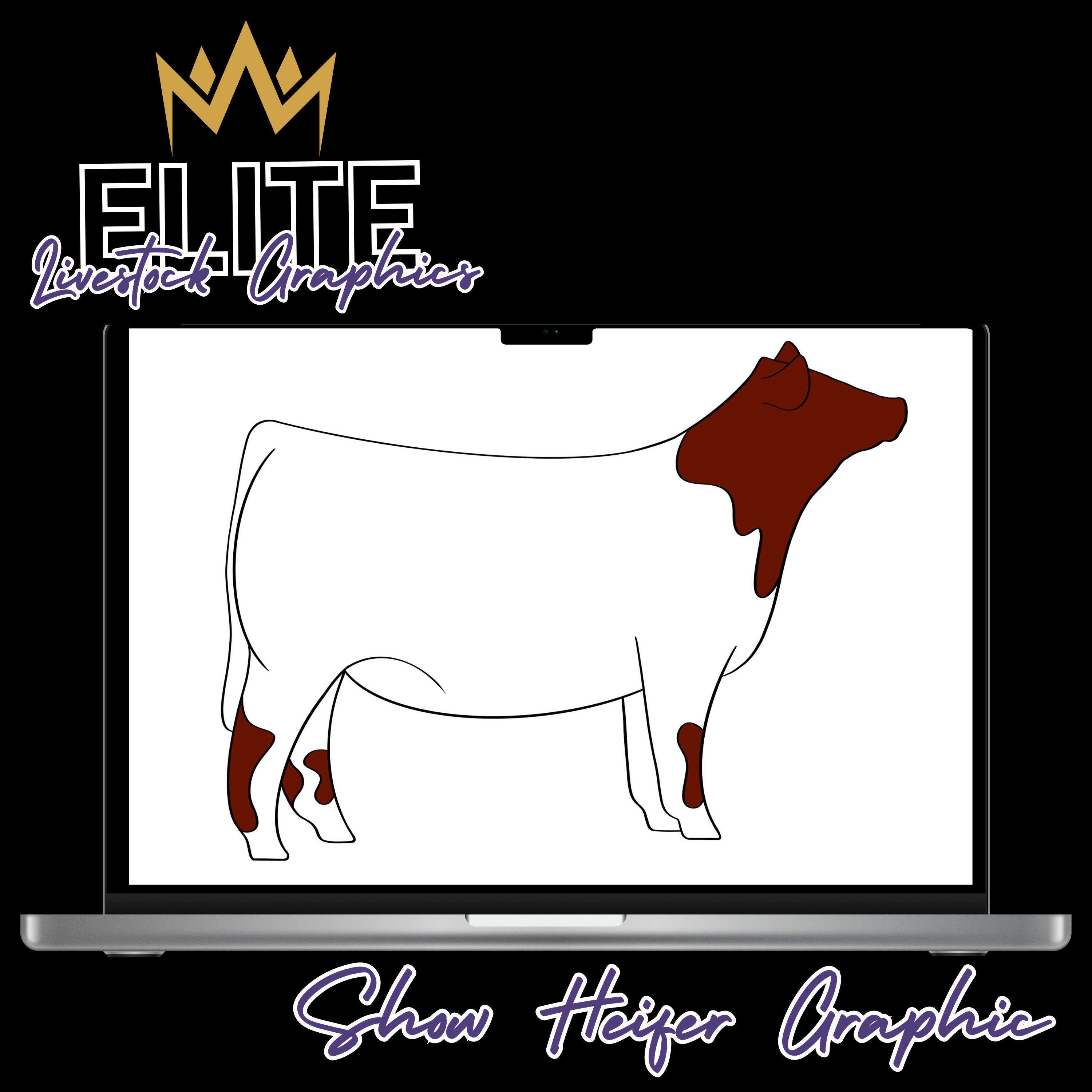 Shorthorn Show Heifer Graphic - Etsy