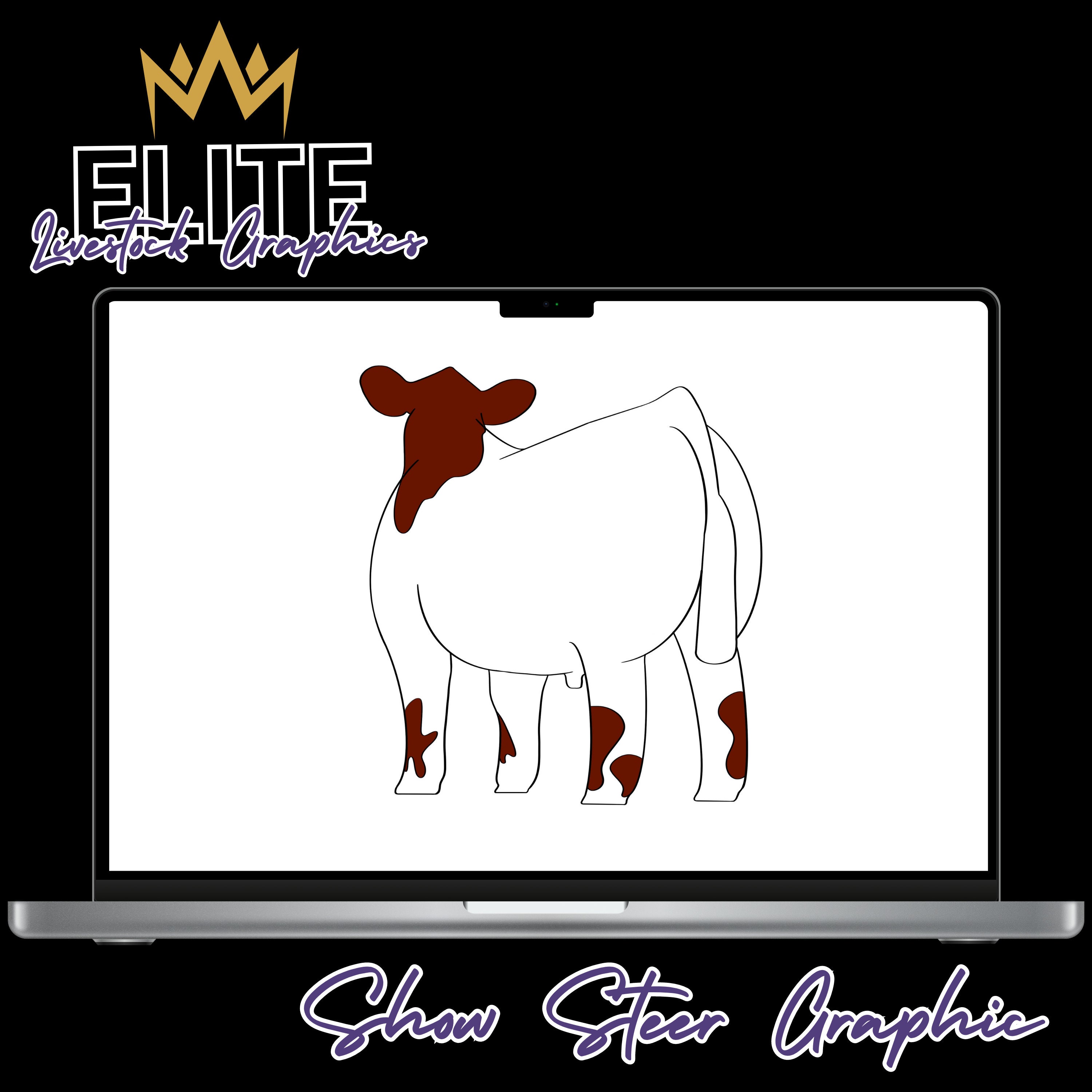 Shorthorn Show Steer Graphic - Etsy