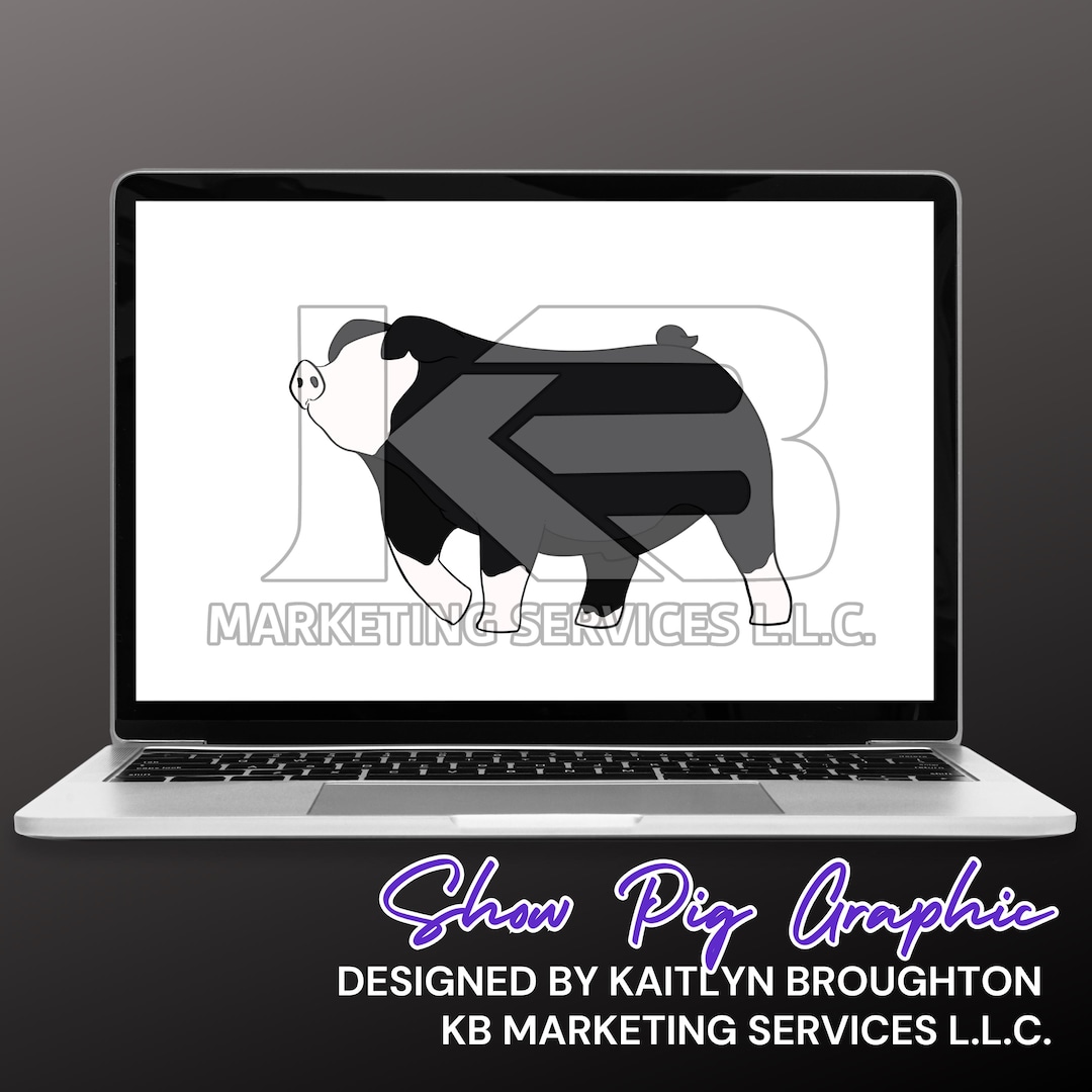 Poland China Barrow Show Pig Graphic - Etsy