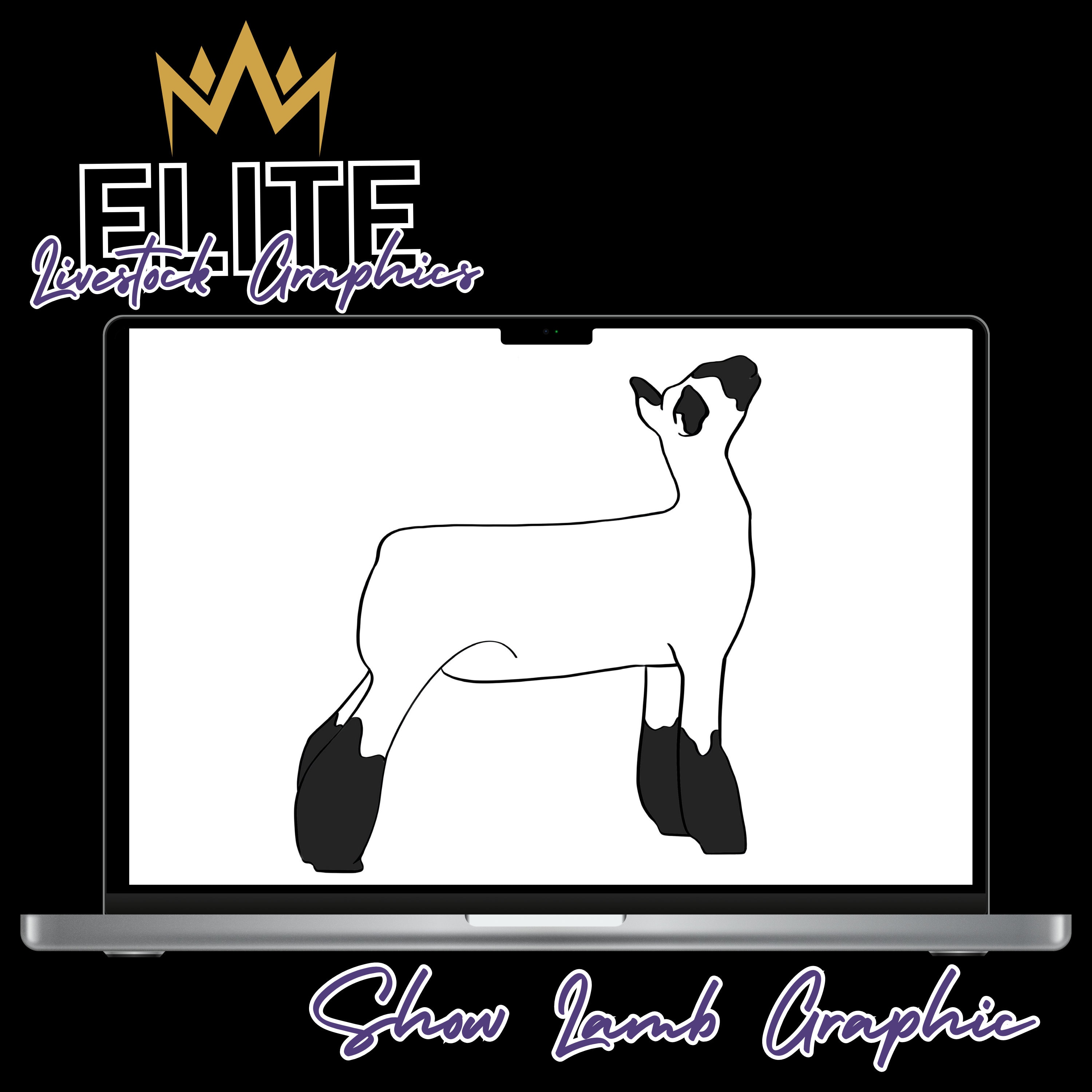 Show Lamb Graphic - Etsy