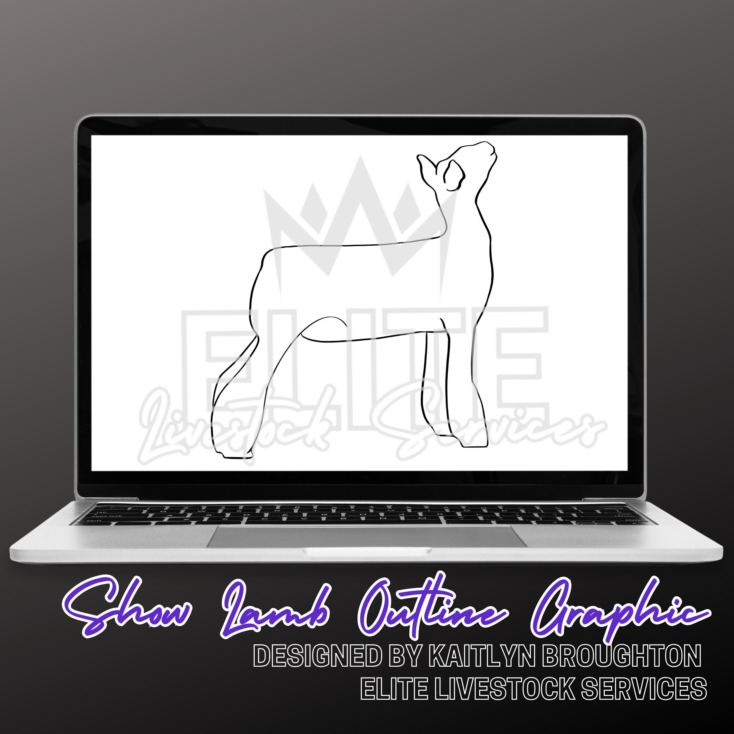 Show Lamb Outline
