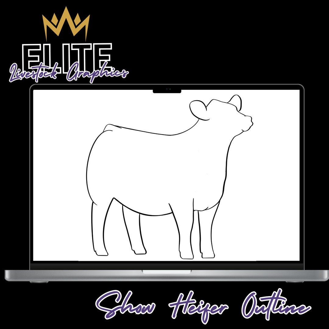 Show Heifer Outline Graphic - Etsy