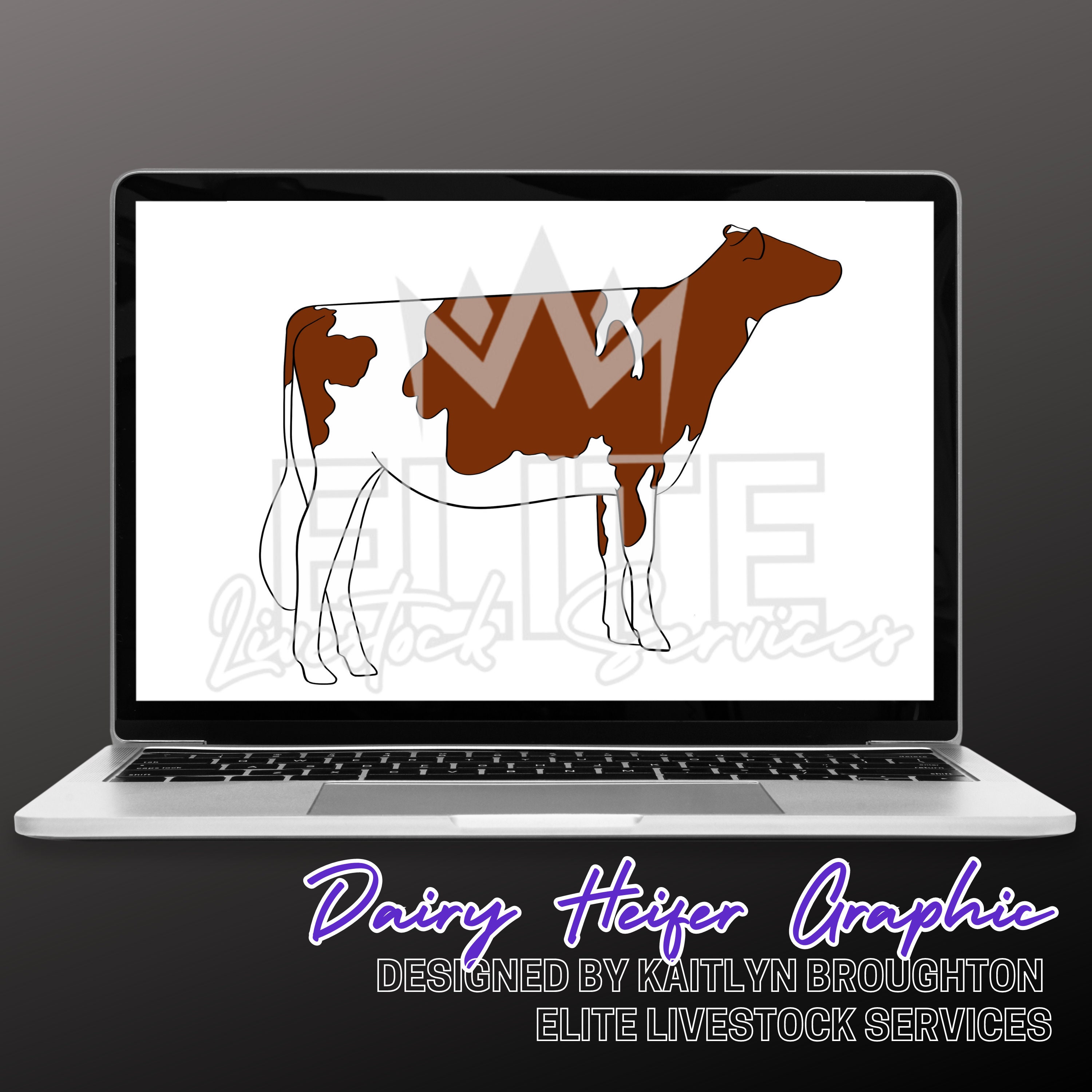 Dairy Heifer Graphic - Etsy