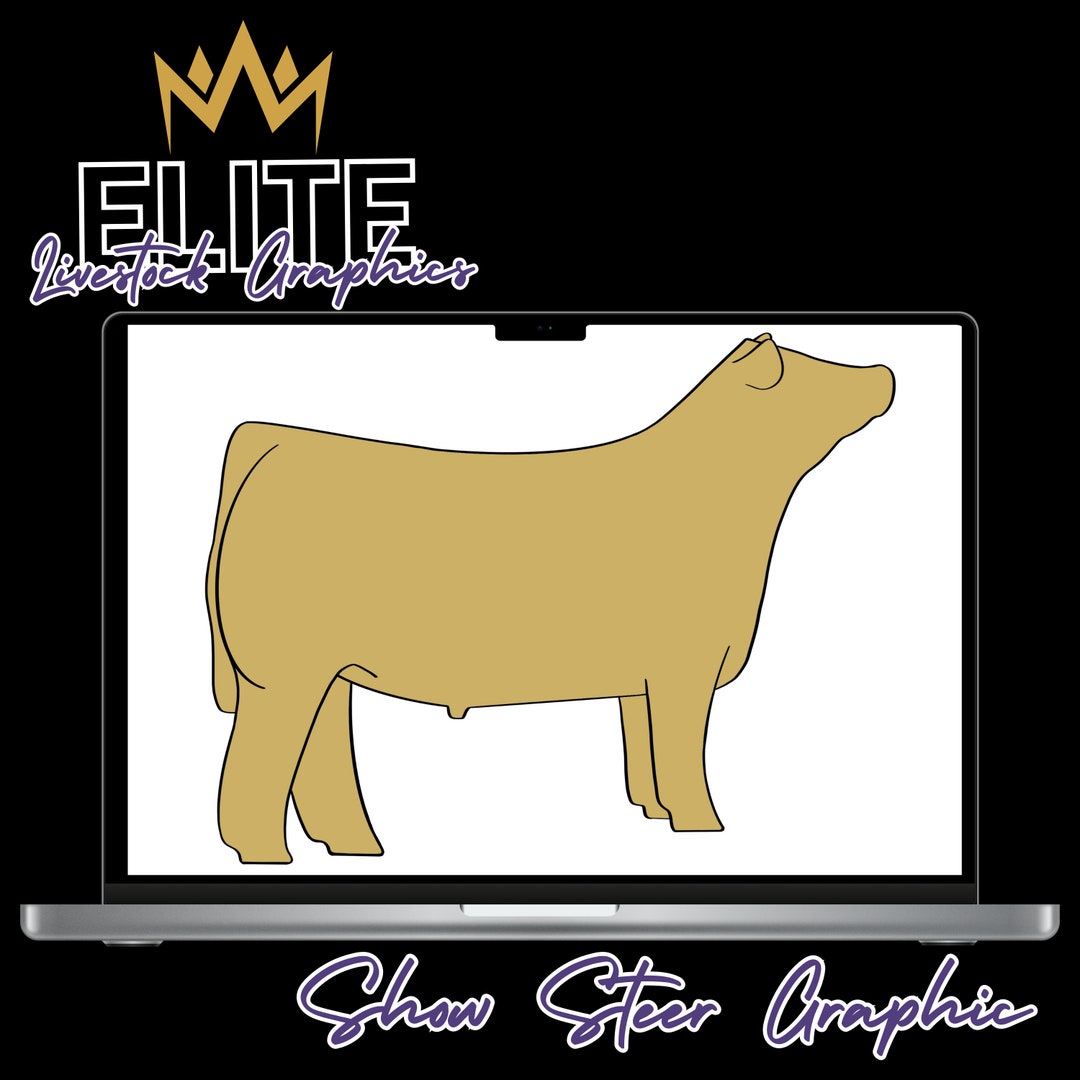 Yellow Show Steer Graphic - Etsy