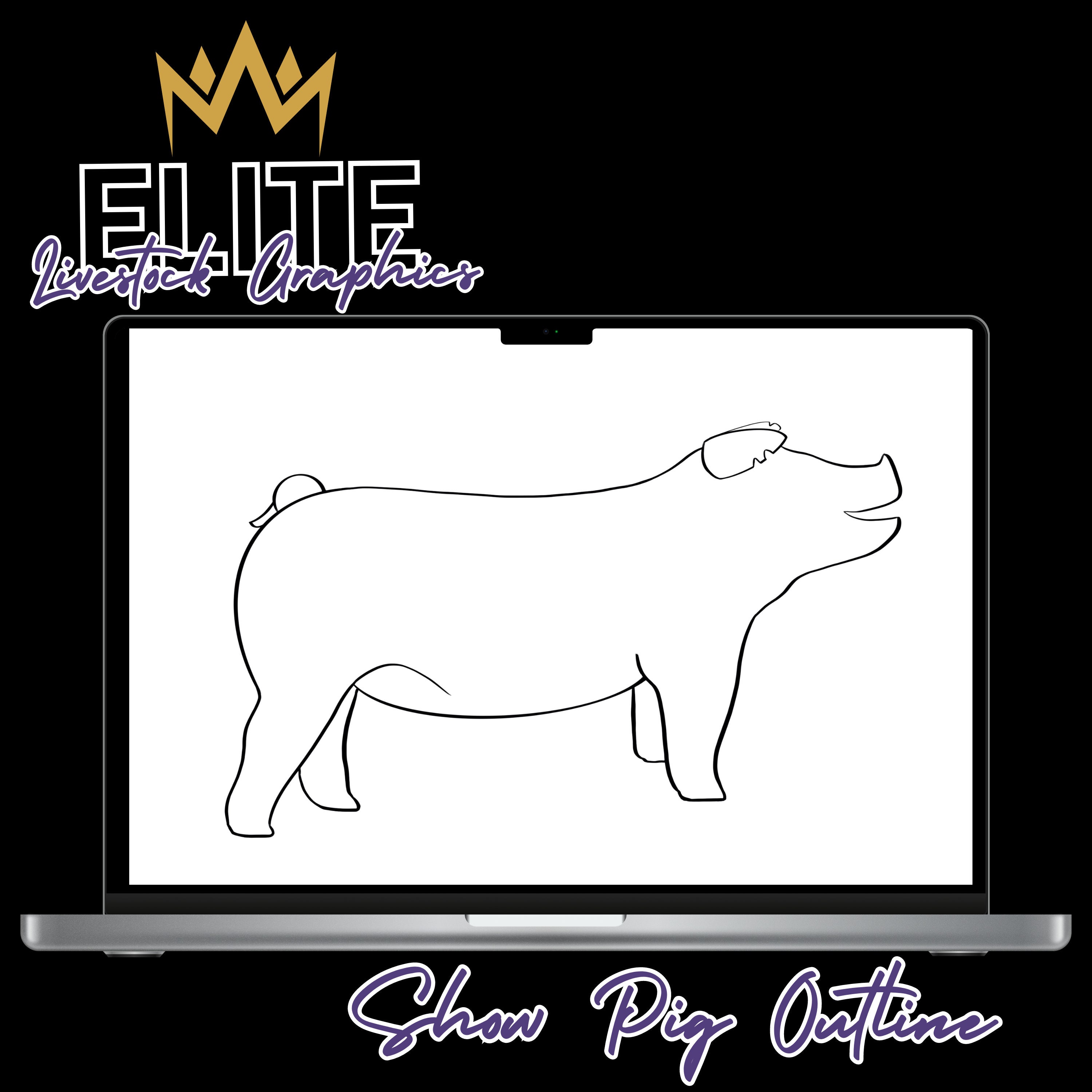 Show Pig Outline Graphic - Etsy
