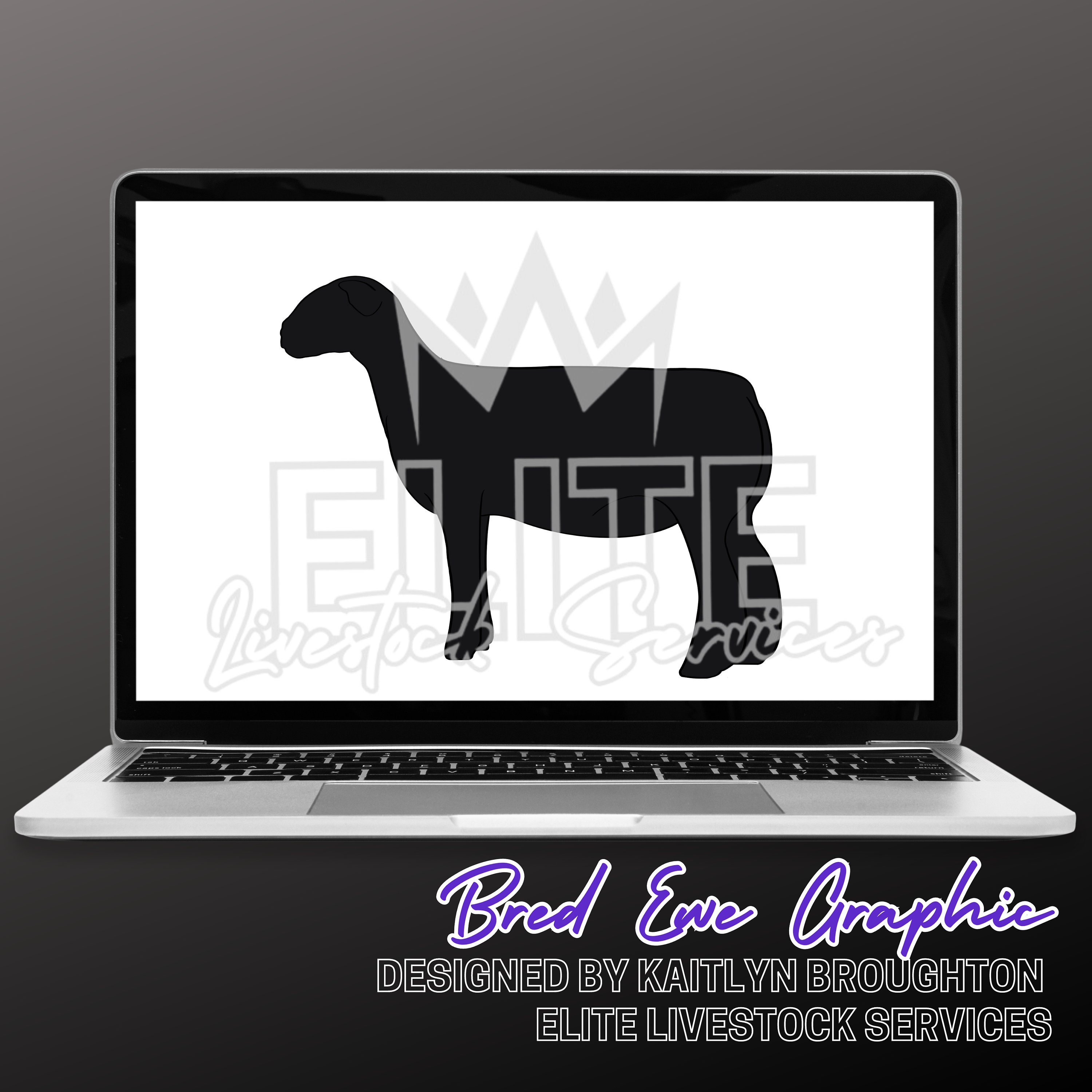 Bred Ewe Graphic - Etsy