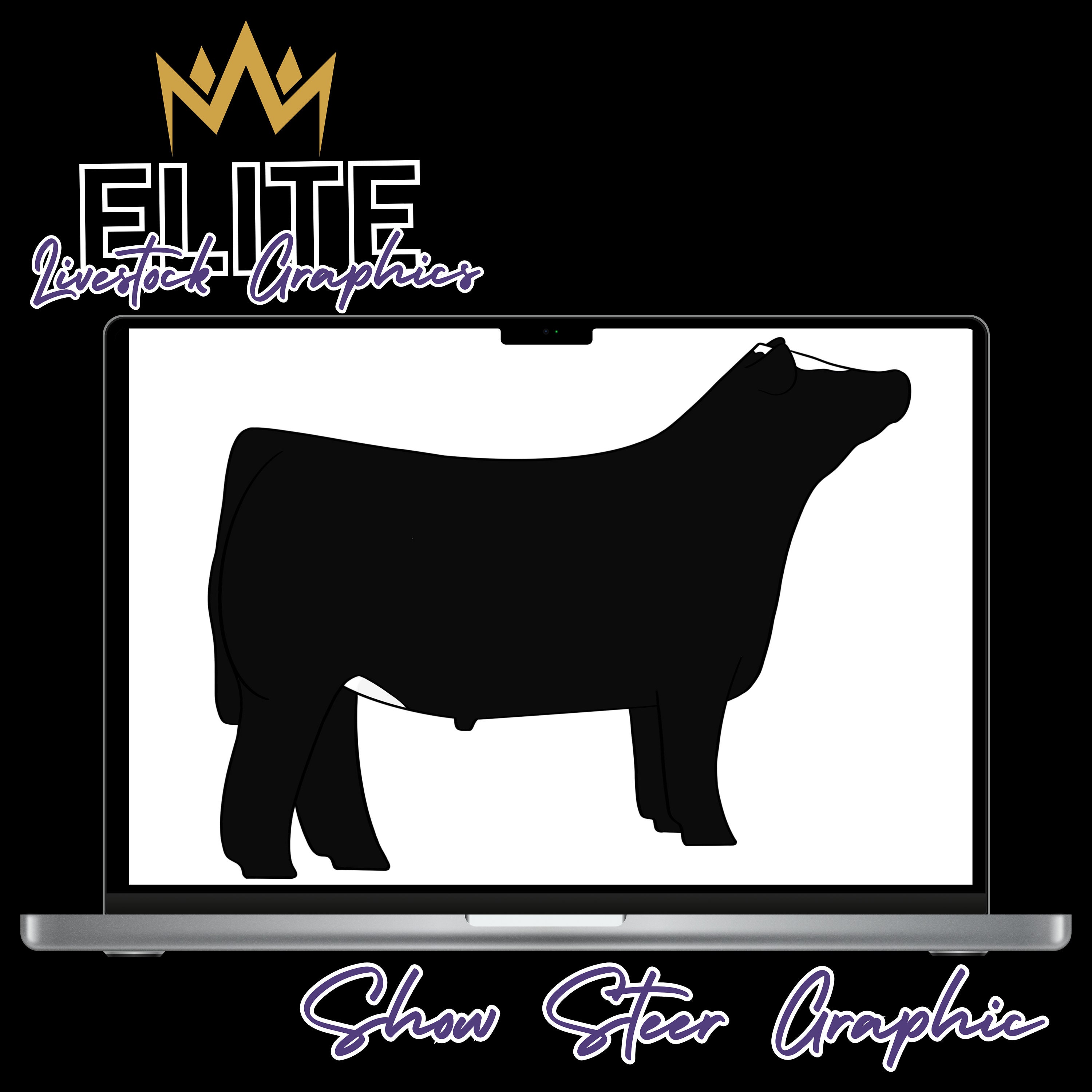 Simmental Show Steer Graphic - Etsy