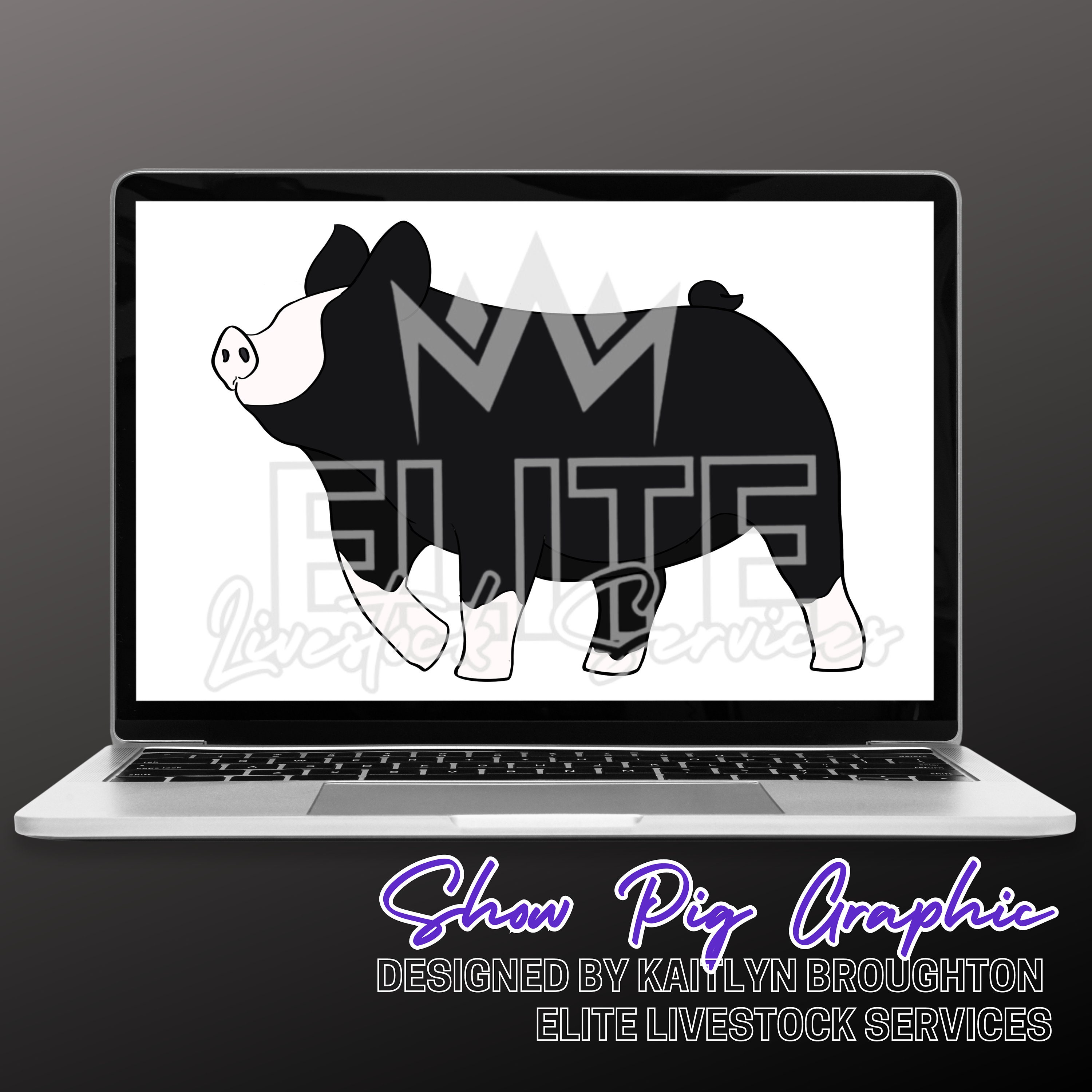 Berkshire Gilt Show Pig Graphic - Etsy