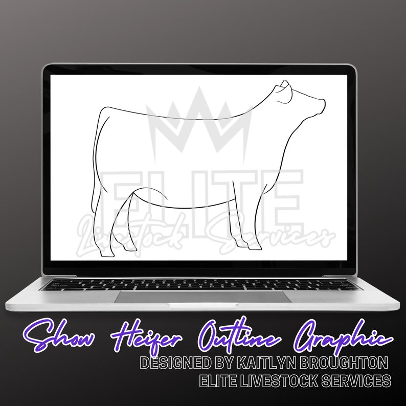 Show Heifer Outline Graphic - Etsy