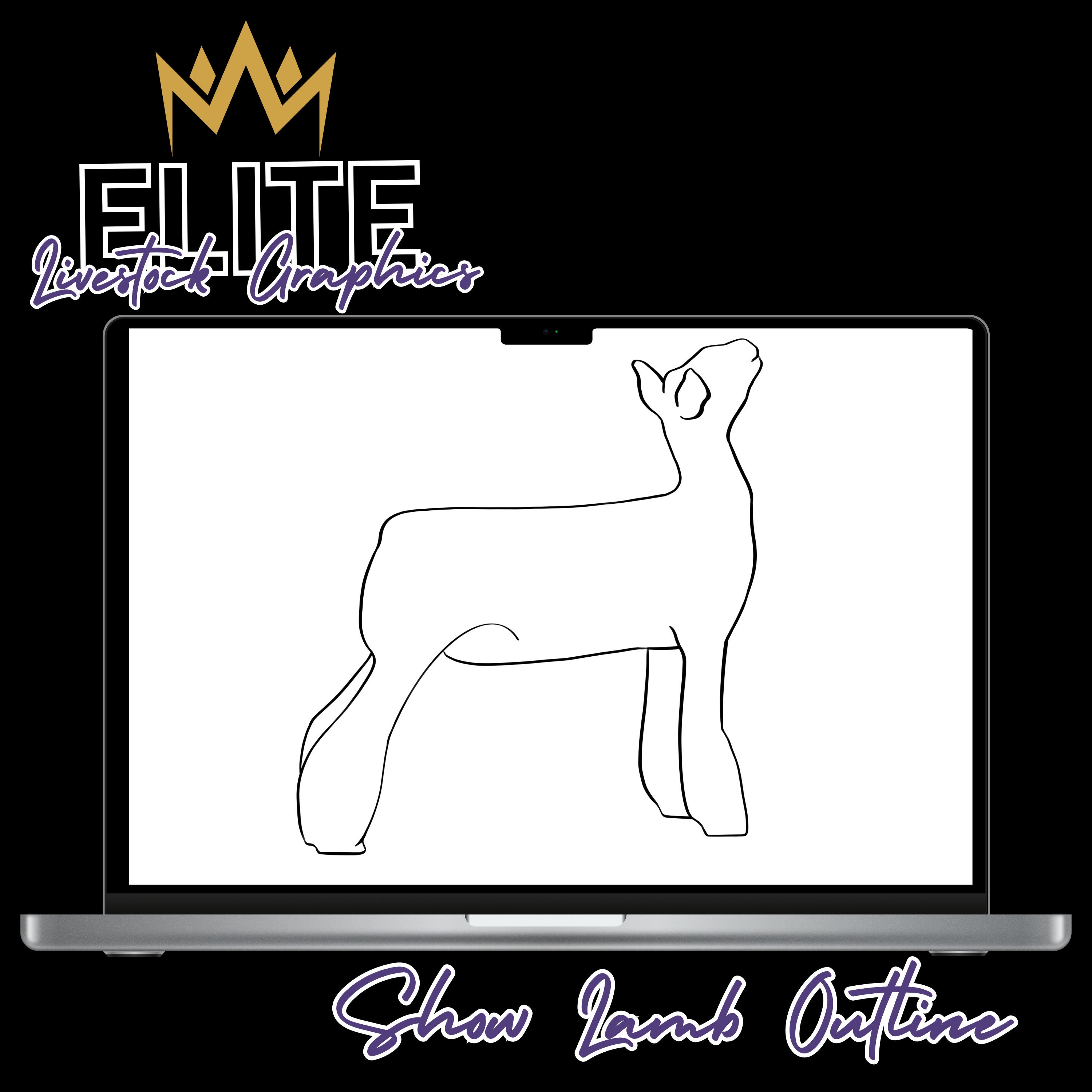 Show Lamb Outline Graphic - Etsy