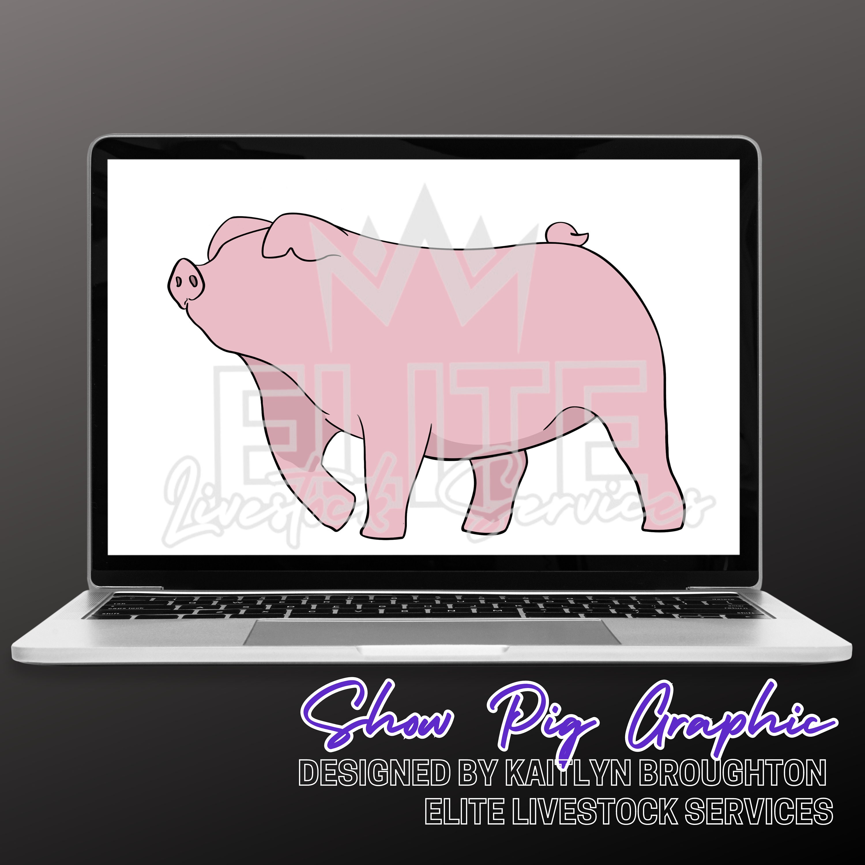 Landrace Gilt Show Pig Graphic - Etsy