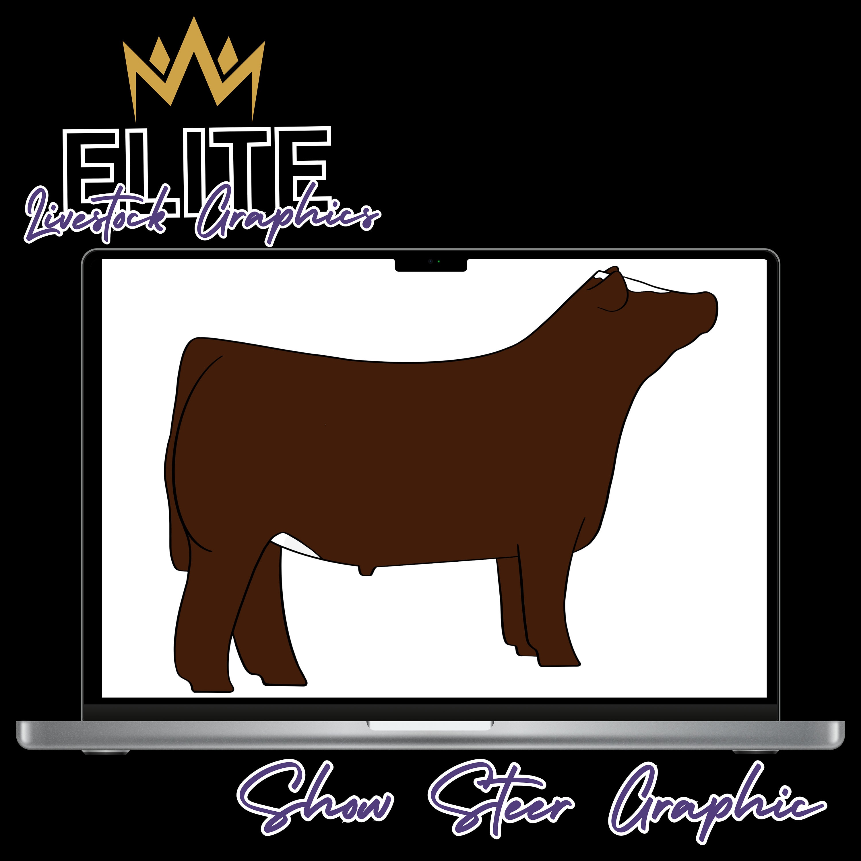 Red Simmental Show Steer Graphic - Etsy