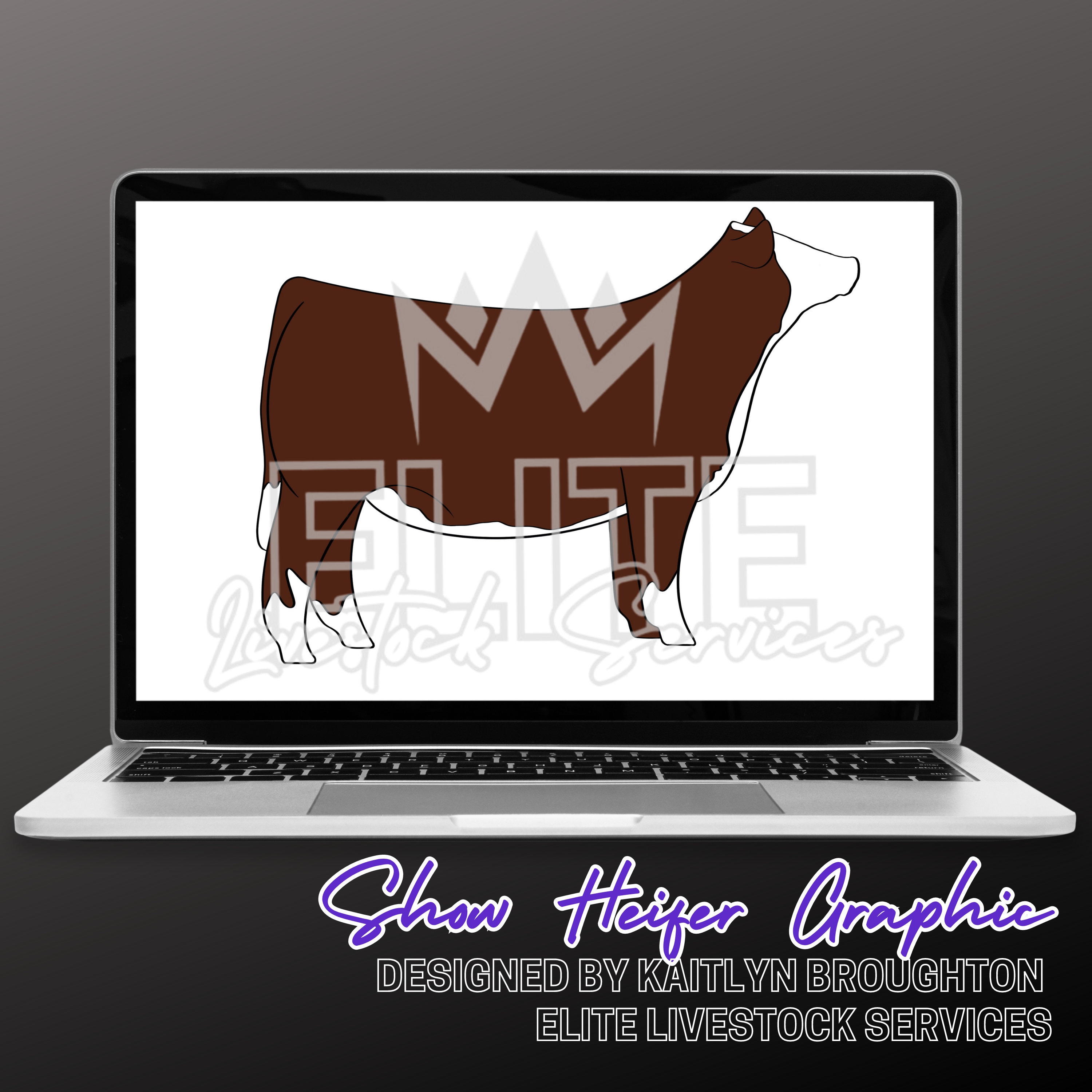 Hereford Show Heifer Graphic - Etsy