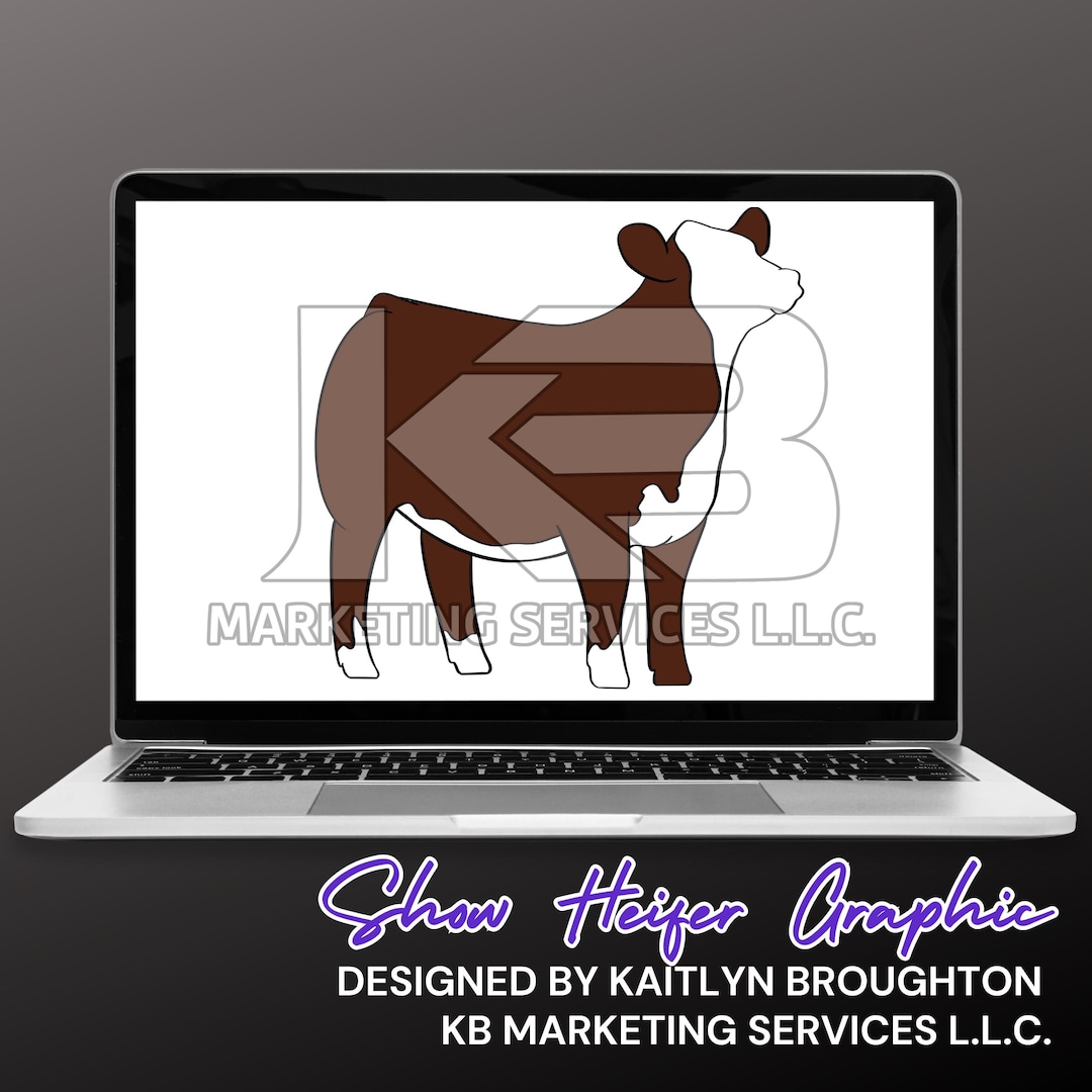 Hereford Show Heifer Graphic - Etsy