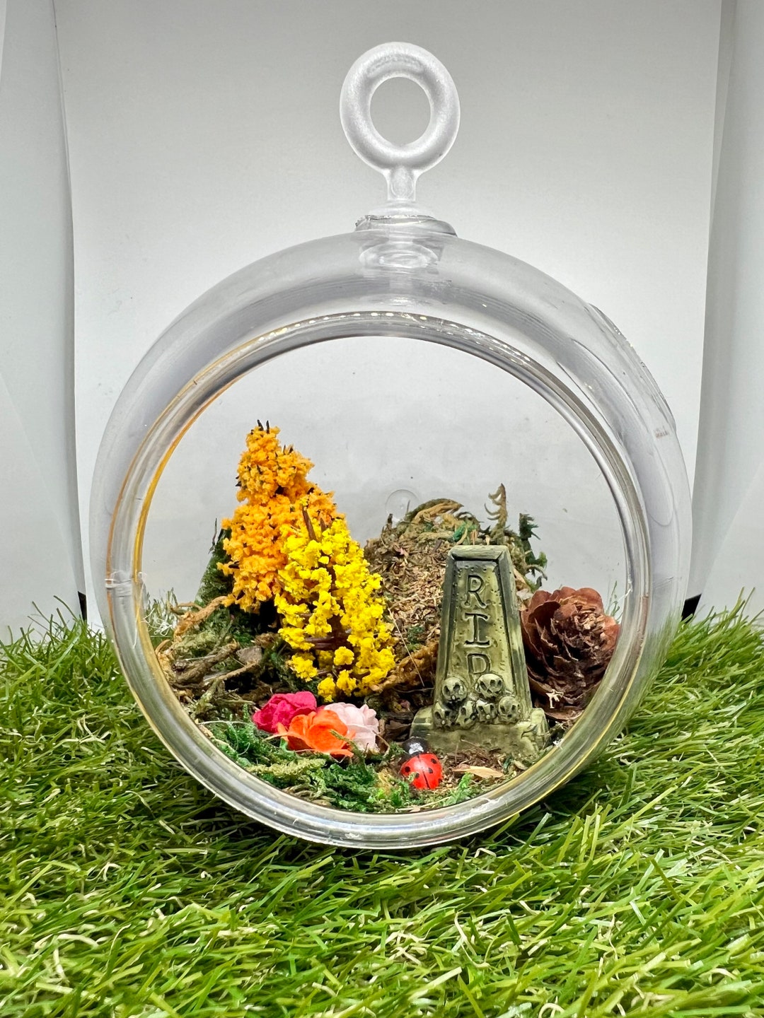 Oddities and Curiosities Gift Graveyard Ghost Cemetery Terrarium Witchy ...