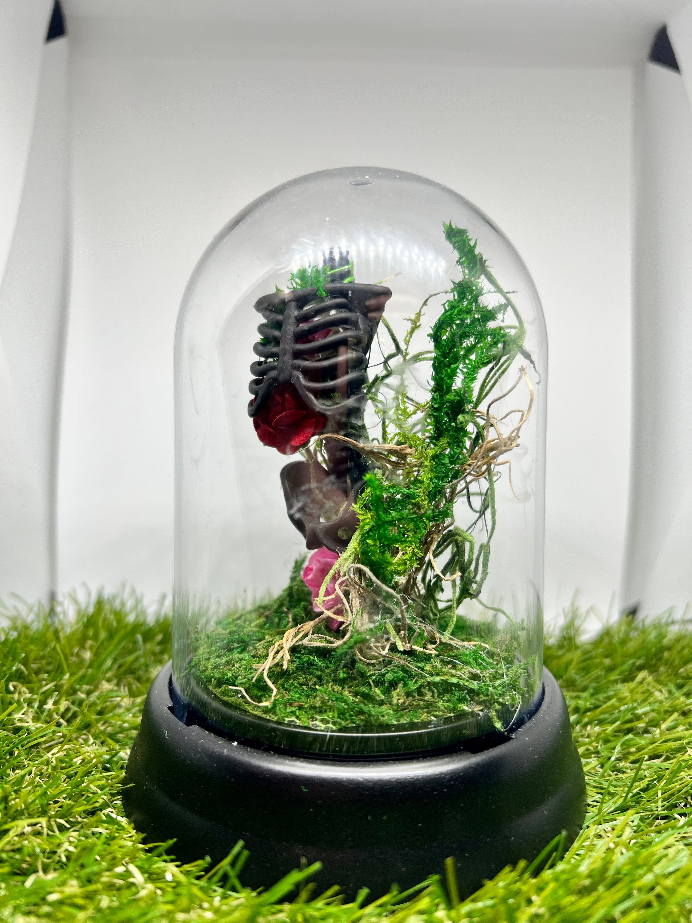 Skeleton Rib Cage Decoration Gothic Decor Goth Gift Halloween - Etsy