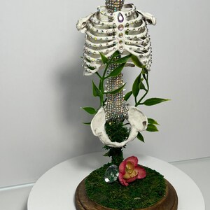 Gothic Decor Flowers Skeleton Rhinestone Crystal Bone Torso - Etsy