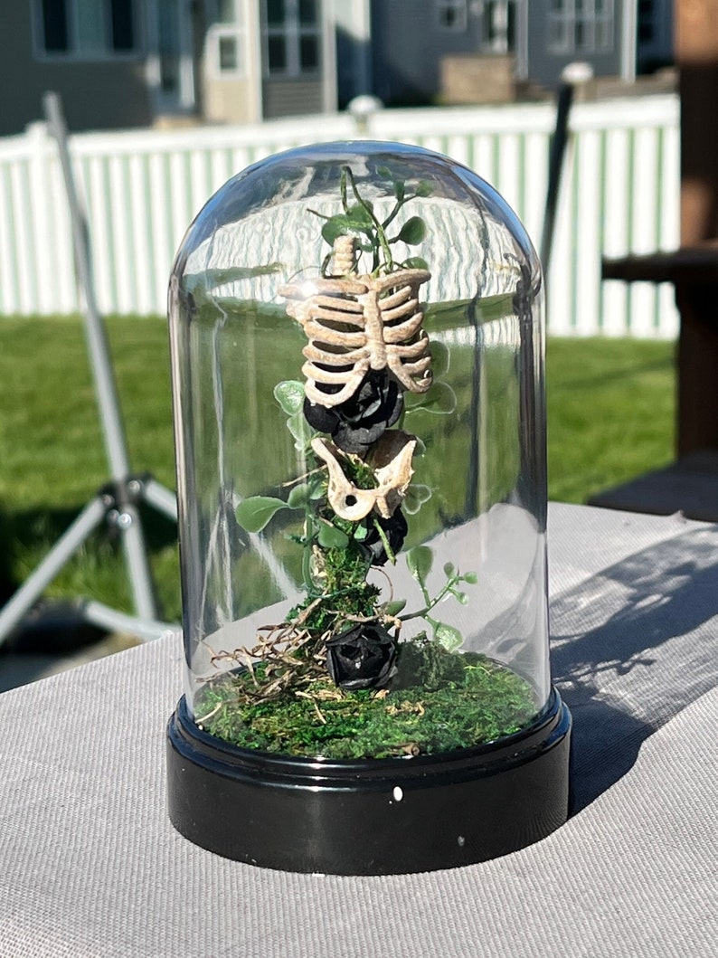 True Love Never Dies Skeleton Rib Cage Decoration Gothic Decor Goth ...