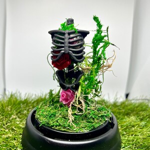 Skeleton Rib Cage Decoration Gothic Decor Goth Gift Halloween - Etsy