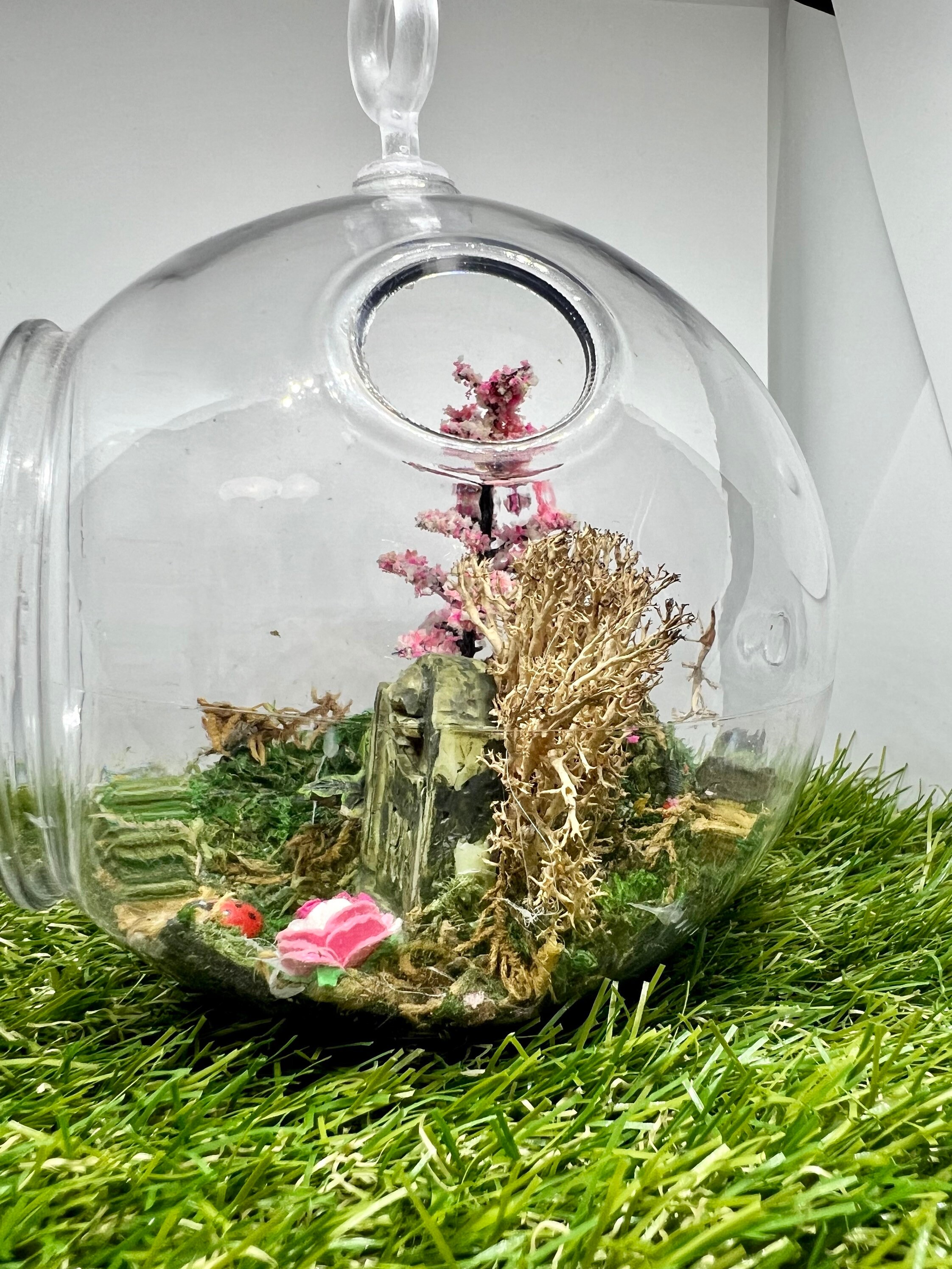 Oddities and Curiosities Gift Graveyard Ghost Cemetery Terrarium Witchy ...