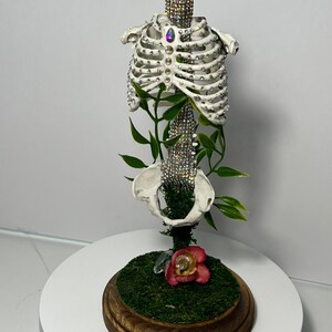 Gothic Decor Flowers Skeleton Rhinestone Crystal Bone Torso - Etsy