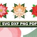 Large Christmas Poinsettia SVG Template Bundle - Paper Poinsettia ...