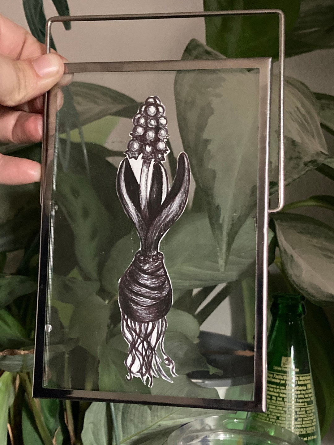 Grape Hyacinth in a Transparent Frame - Etsy