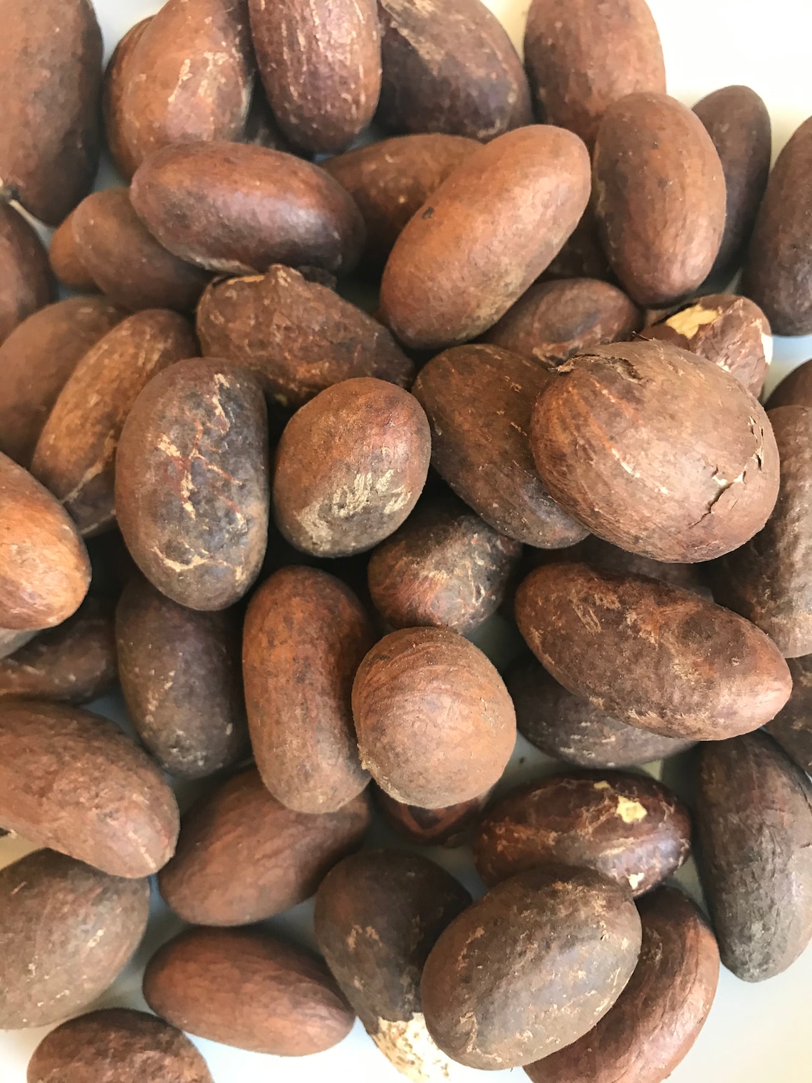 Fresh African Kola/ Bitter Kola/garcinia Kola Nuts/4oz Bag - Etsy