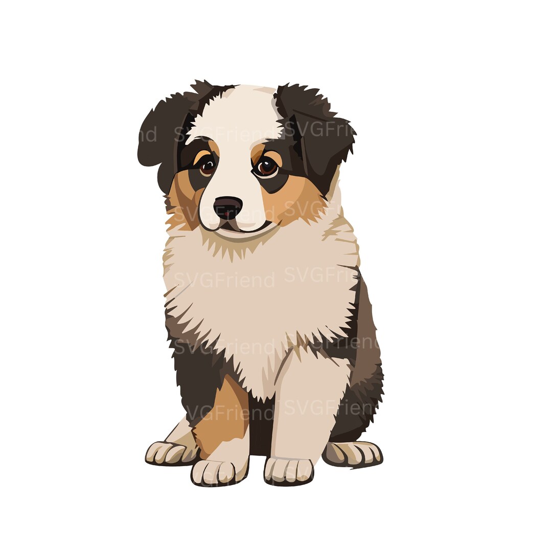 Australian Shepherd SVG, Vector, PNG, DXF, Pdf, Png, T-shirt Design ...