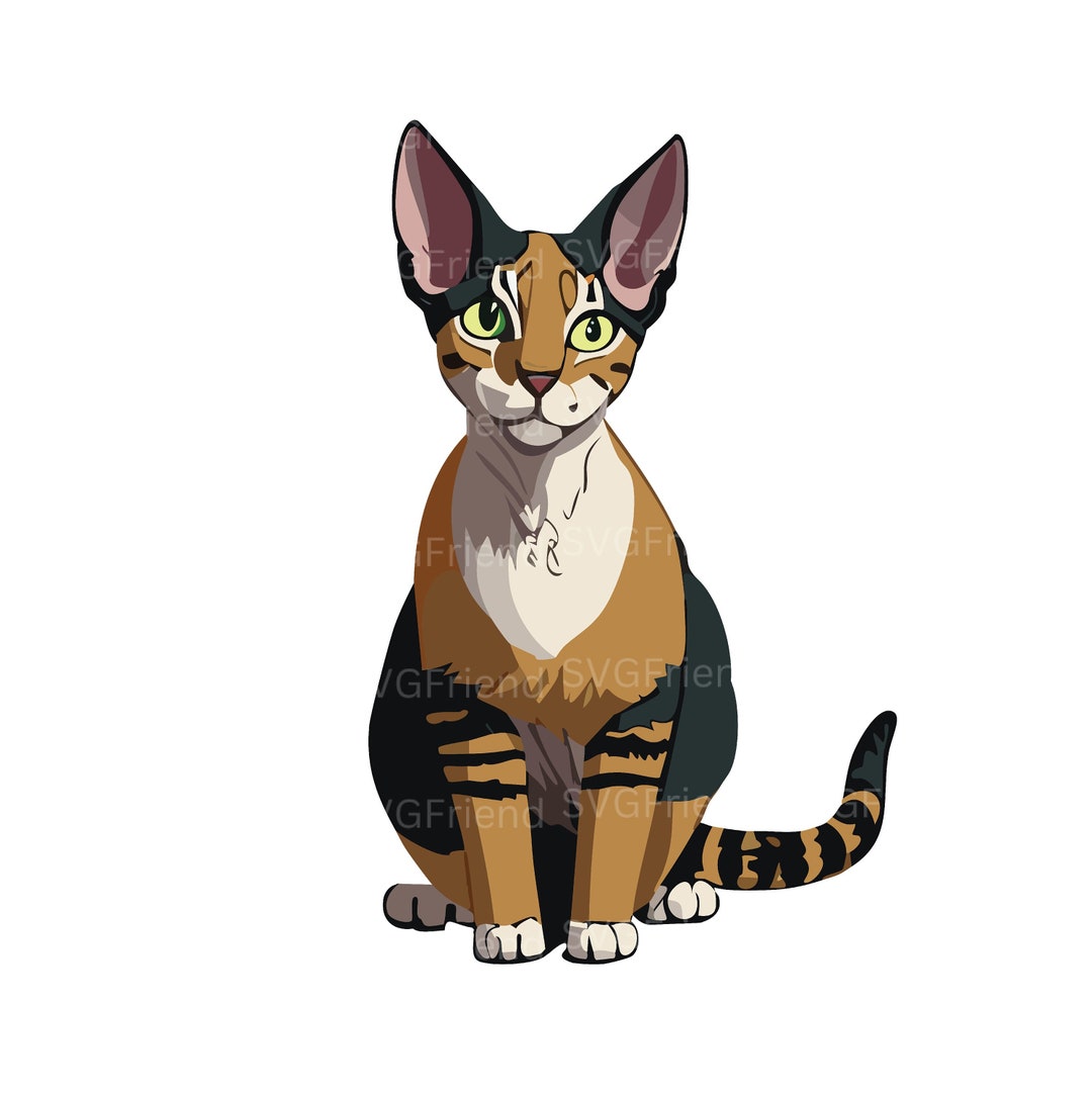 Oregon Rex Cat SVG PNG DXF Pdf Jpg T-shirt Design, Cat Svg, Commercial ...