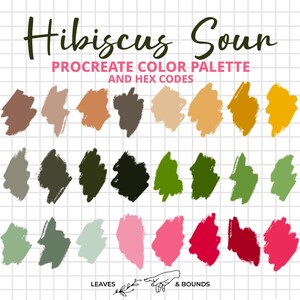 Hibiscus Sour Procreate Color Palette Digital Download - Etsy