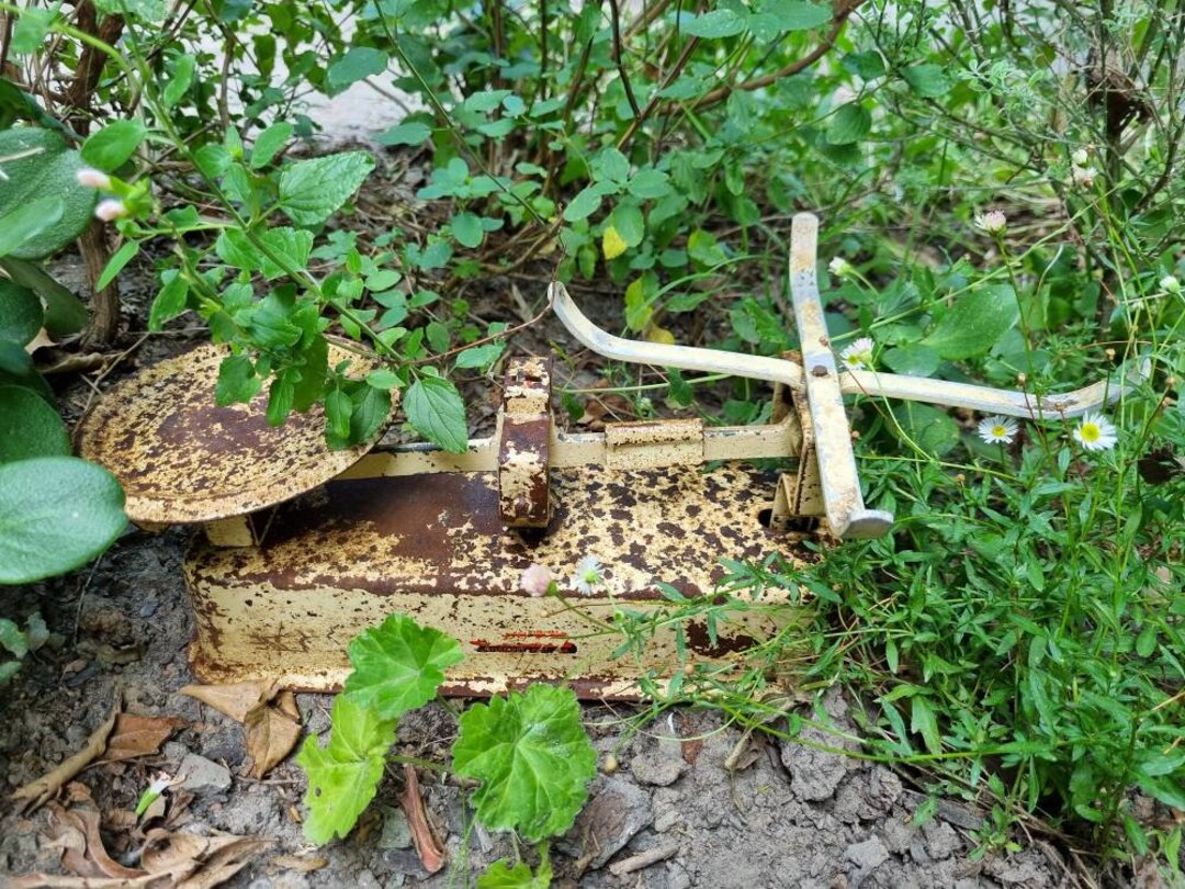 Very Old Rusty Scales for the Garden - Etsy