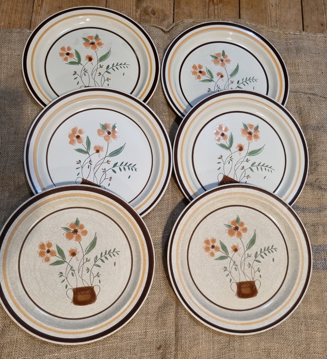 Set of 6 Vintage Stoneware Countryside Collection Dinner Plates - Etsy