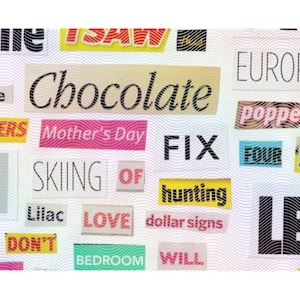 English Magazine Word Cut-outs - 570 Unique Words (780 in Total ...